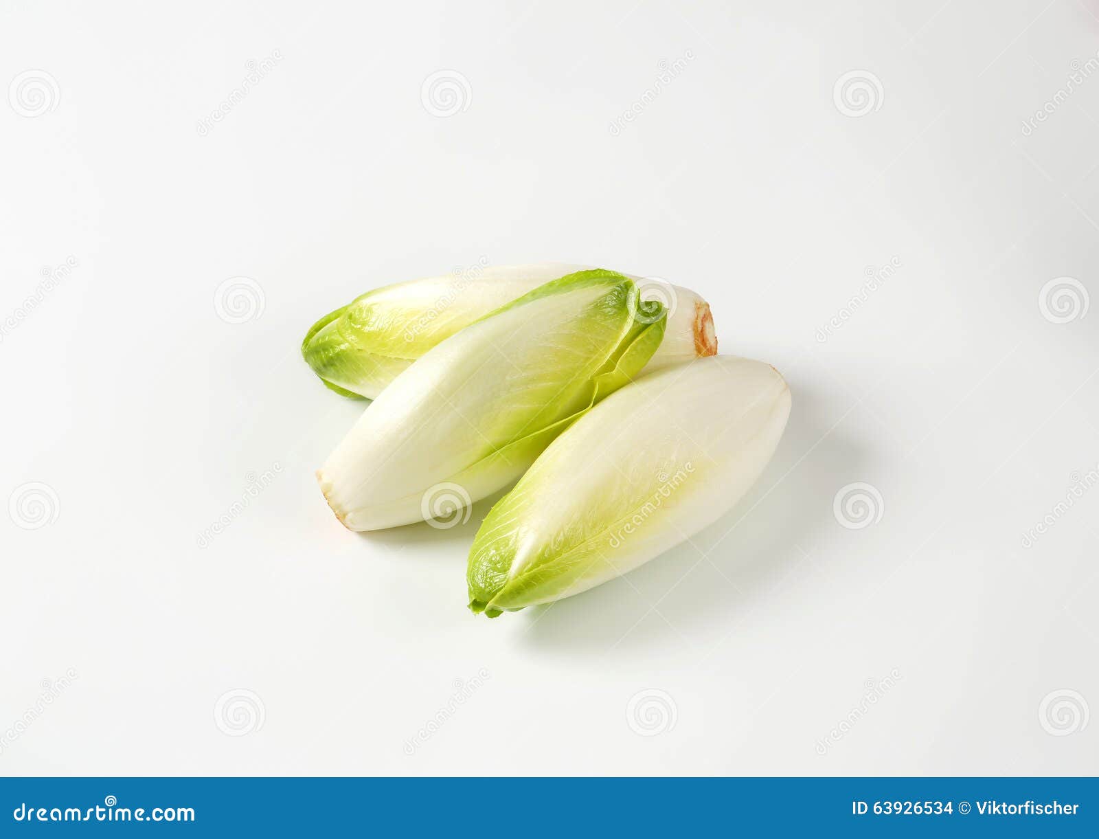 Endive stock photo. Image of wholesome, food, leaf, head - 63926534
