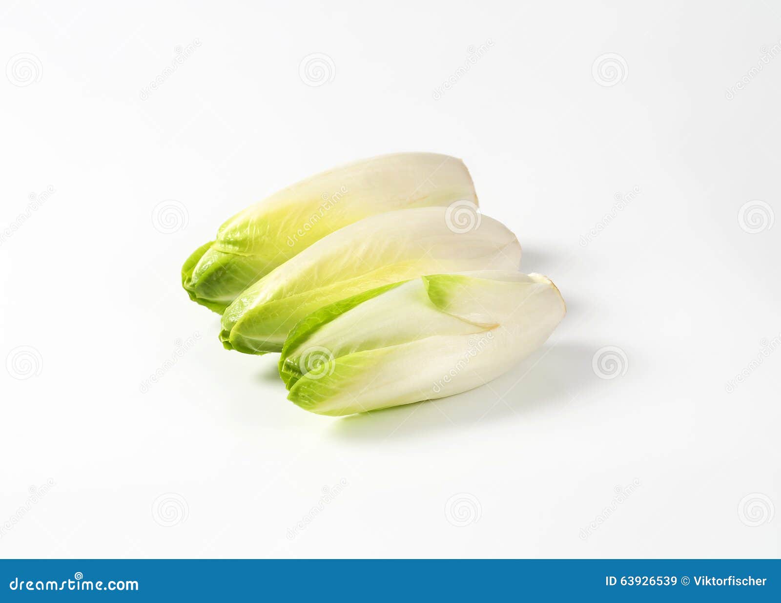 Endive stock image. Image of chicory, ripe, vegetable - 63926539