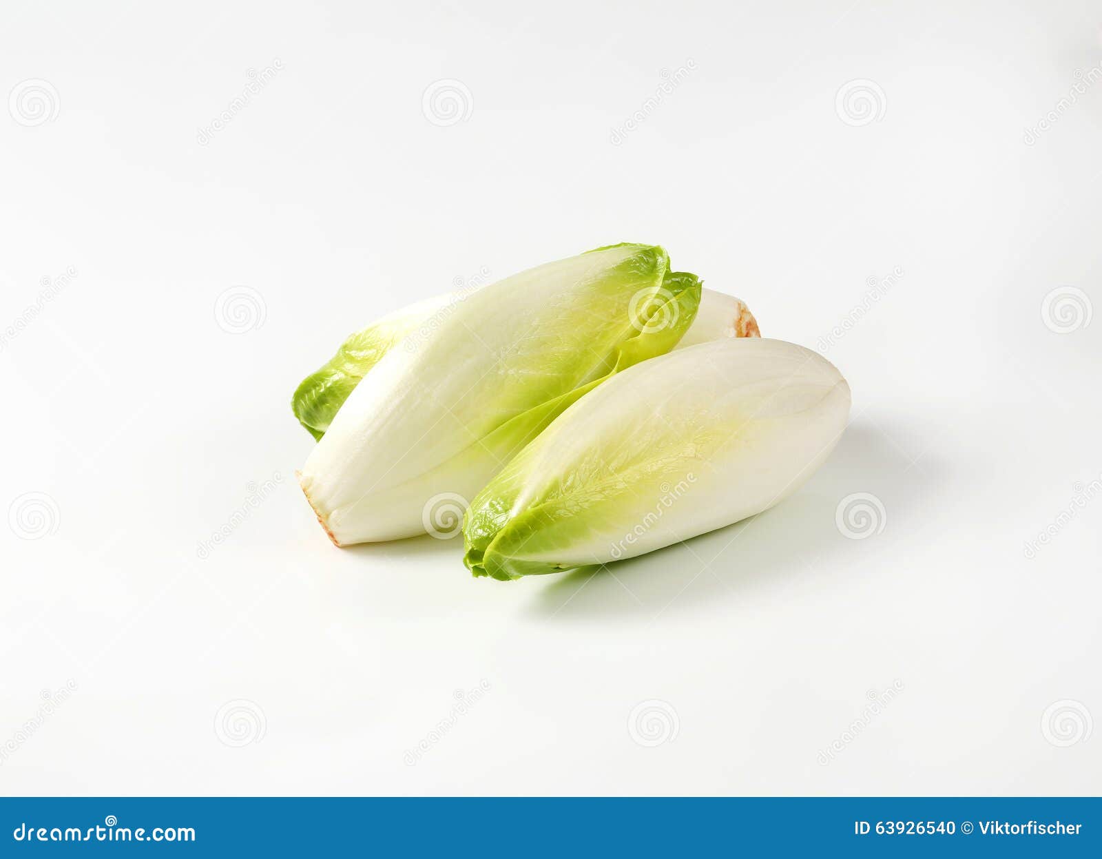 Endive stock photo. Image of food, crispy, head, background - 63926540