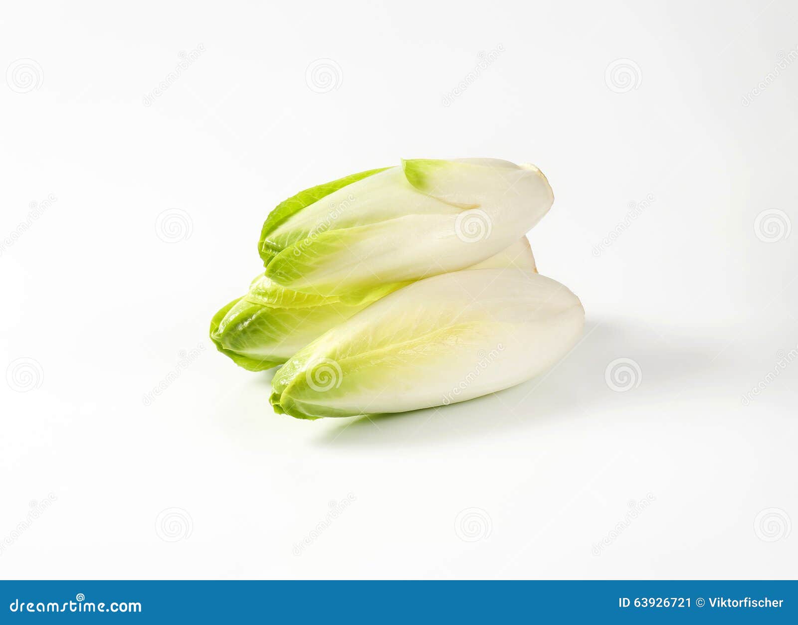 Endive stock image. Image of healthy, plant, background - 63926721