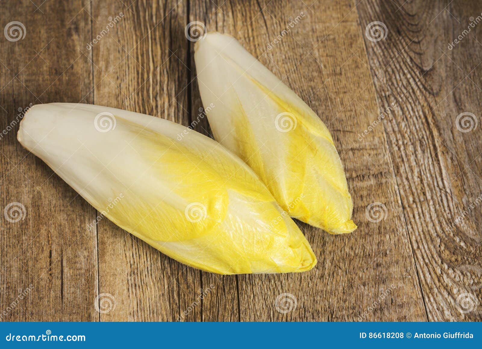 Endive lying stock photo. Image of salt, health, tray - 86618208