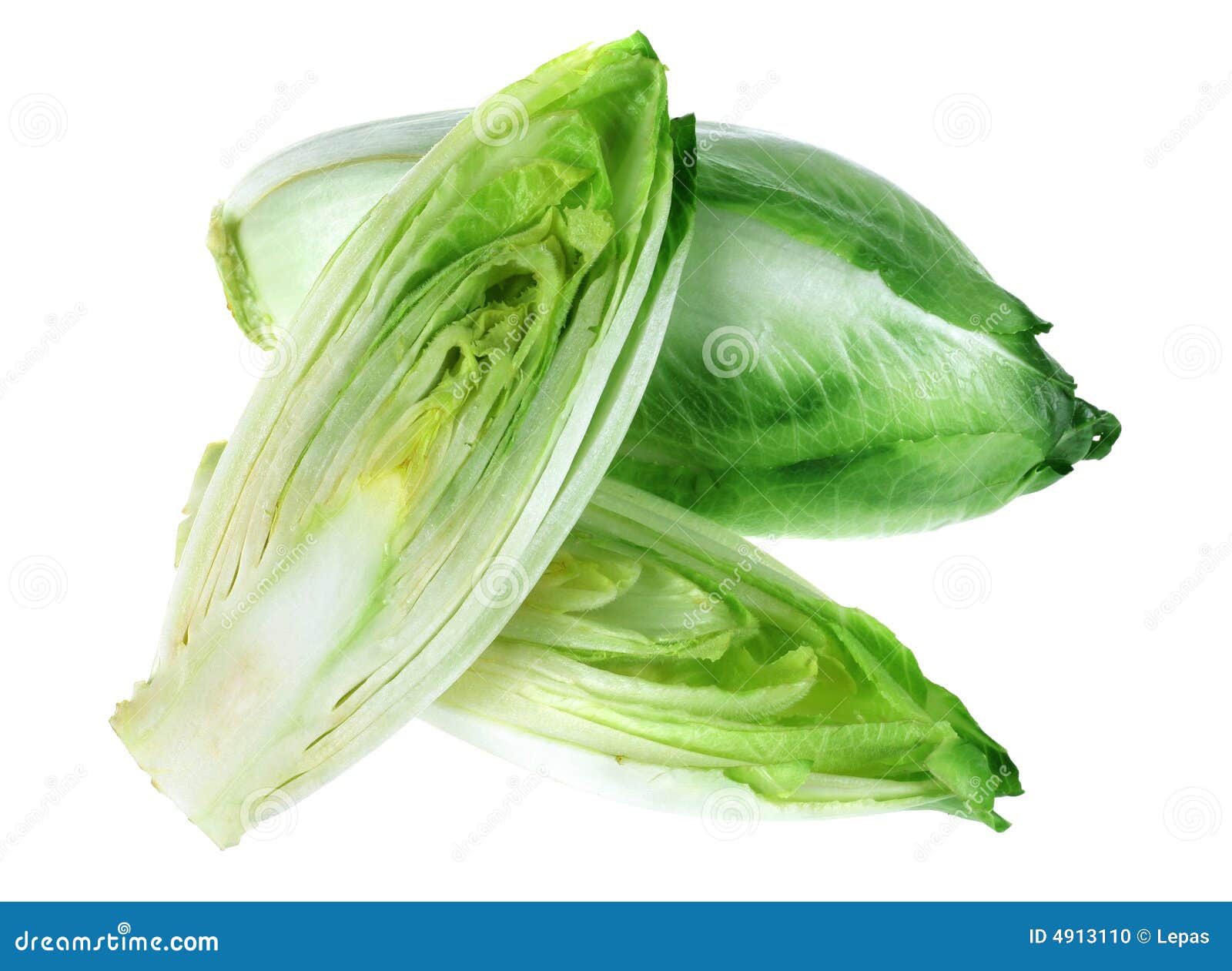 Endive verte photo stock. Image du lame, endive, feuillu - 4913110