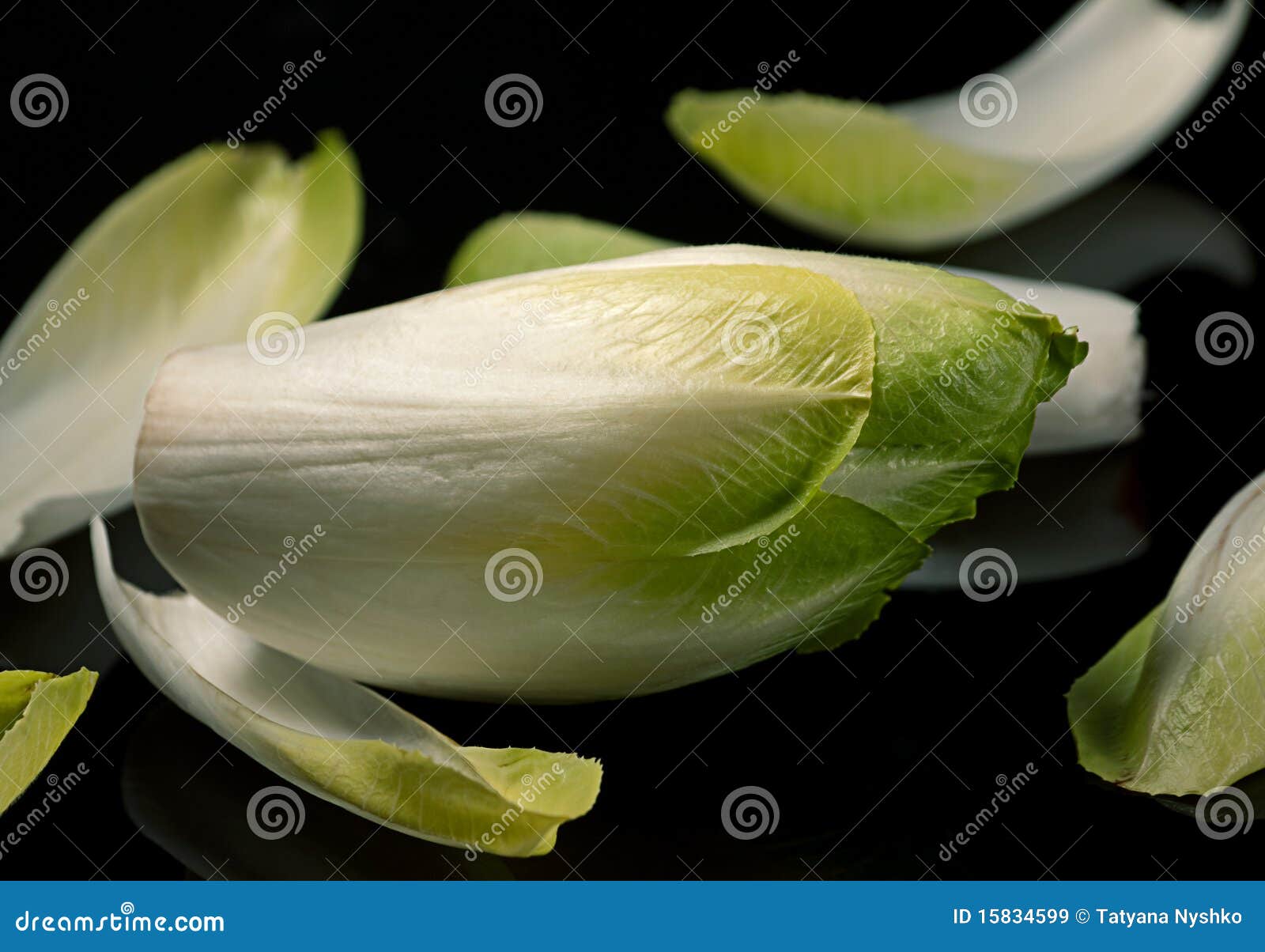 Endive verte sur le noir image stock. Image du ombre - 15834599