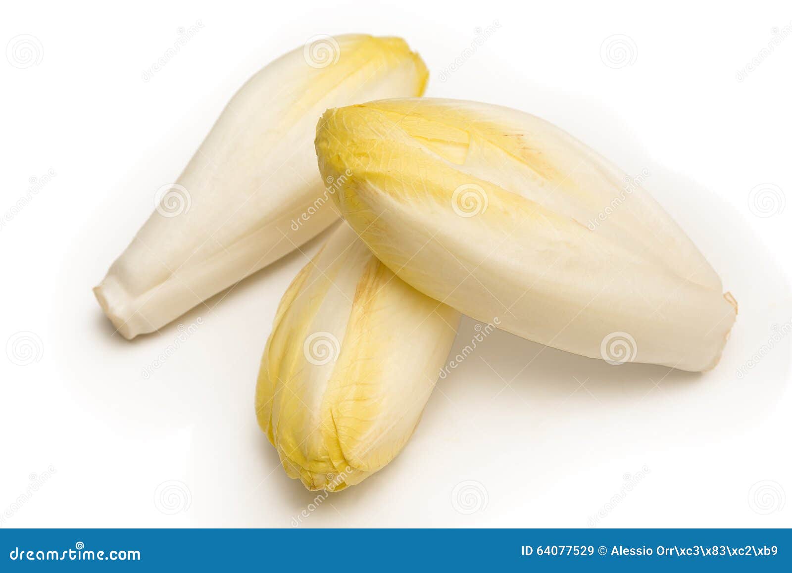 Endives stock image. Image of endives, vegetable, isolated - 64077529