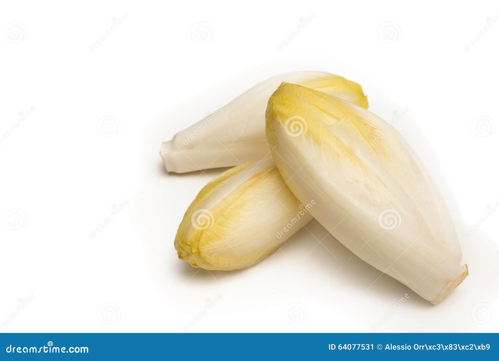 Endives stock image. Image of ingredient, cultivation - 64077531
