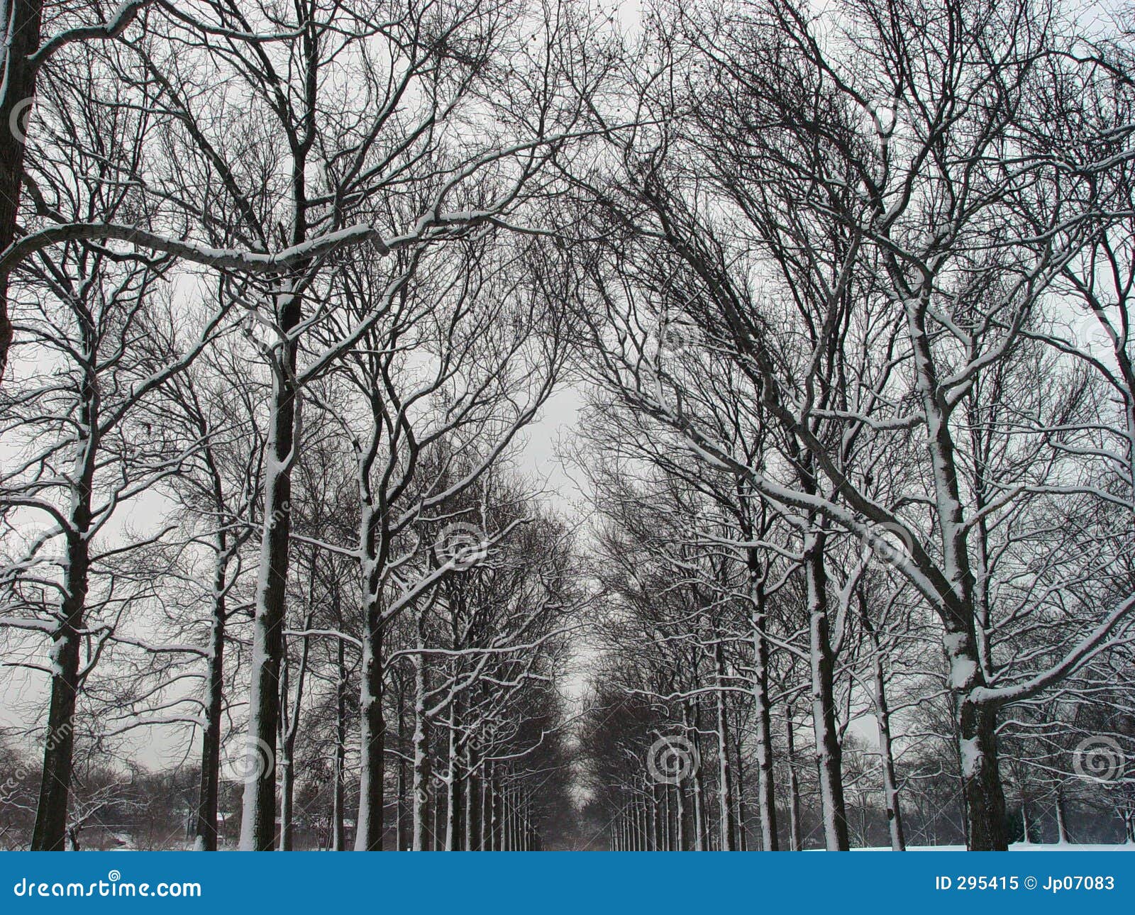 Endless Picture. Image: 295415