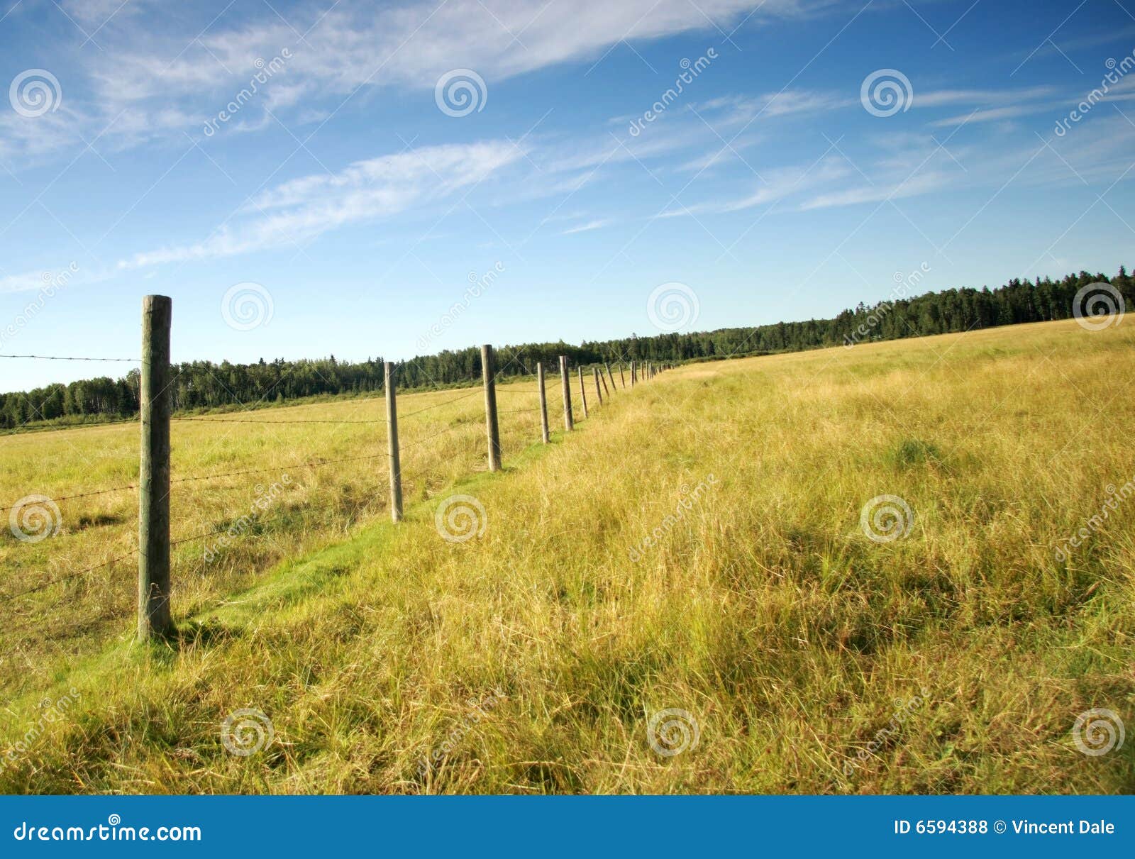 Endless Picture. Image: 6594388