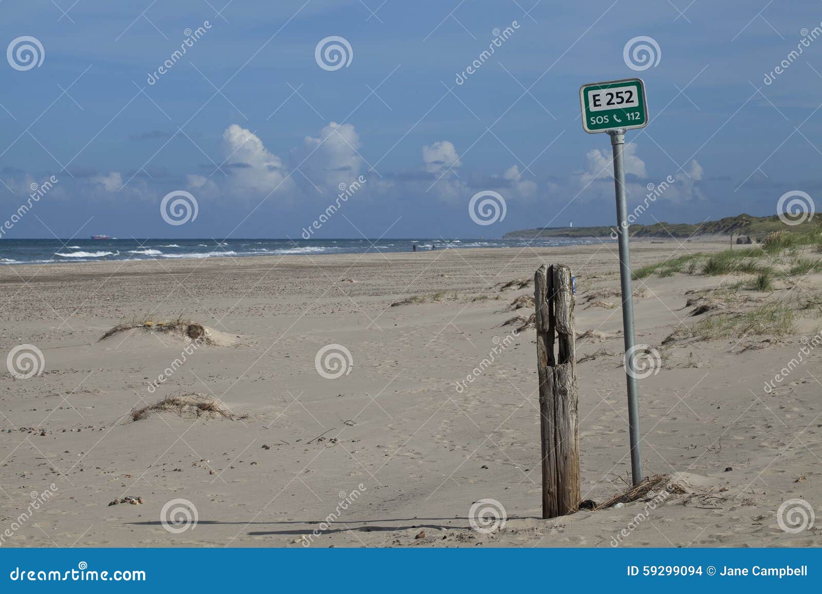 Endless Beaches stock photo. Image of life, beach, natural - 59299094