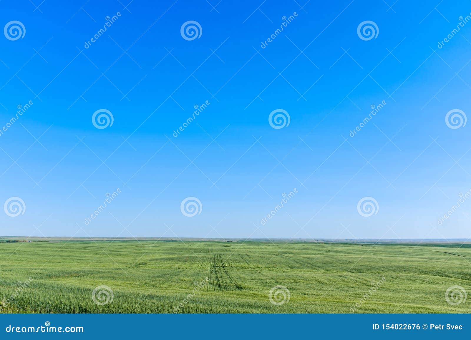 Endless Fields in Saskatchewan Stock Photo - Image of blue, large ...