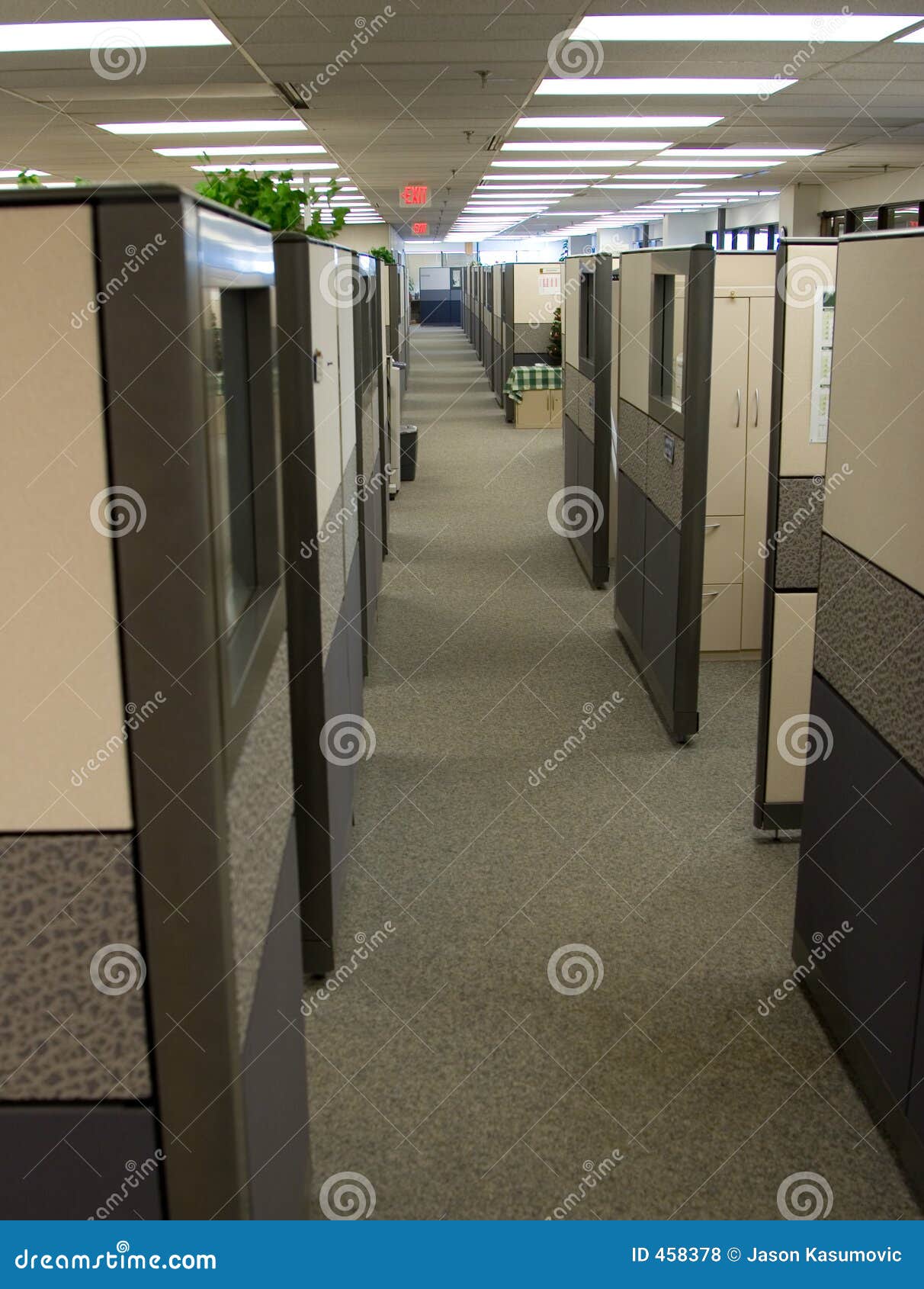 Endless Cubicles stock photo. Image of building, corporate - 458378