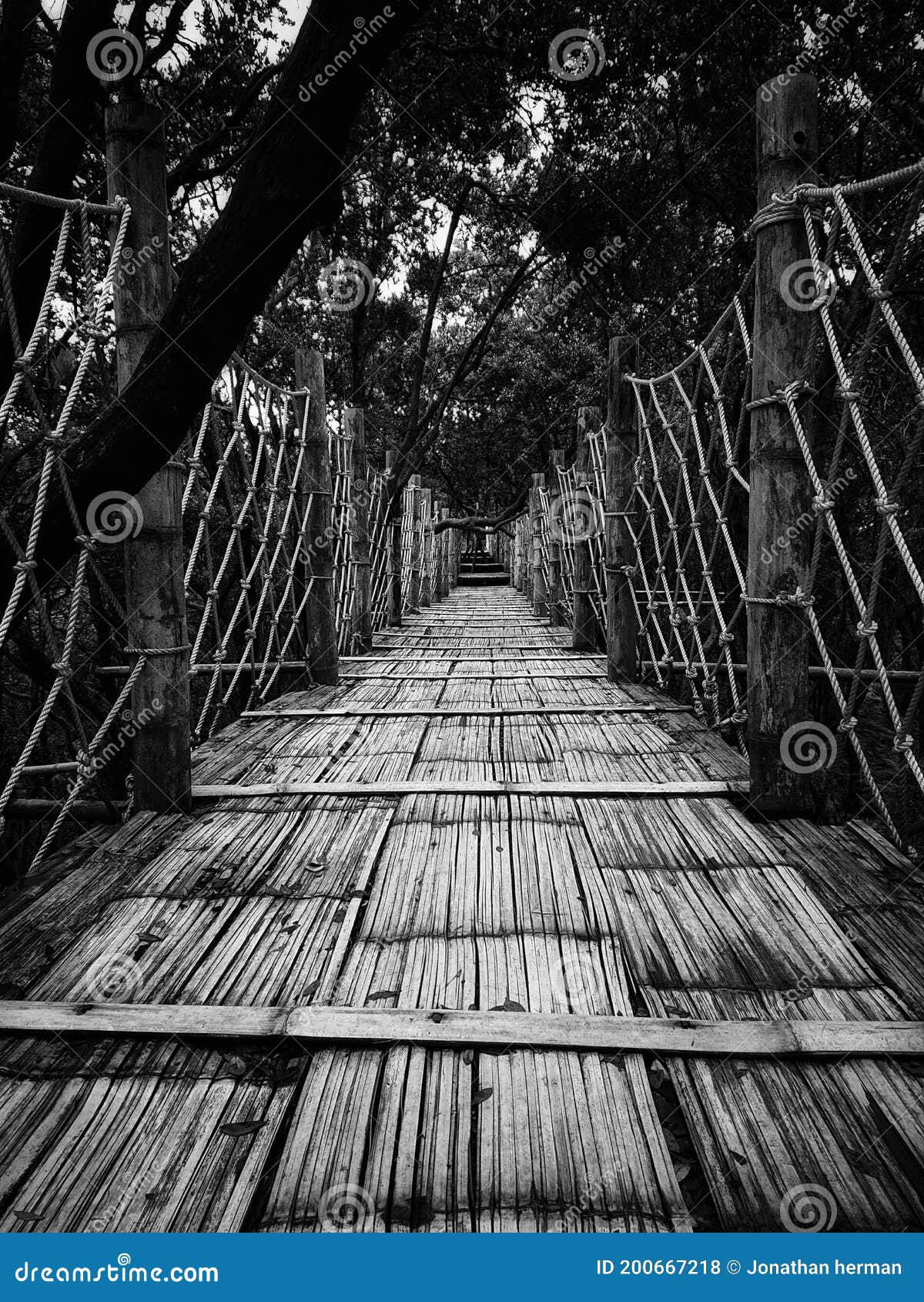 Endless Darkness, Endless Sadness, and Eternal Voidness. Stock Photo ...