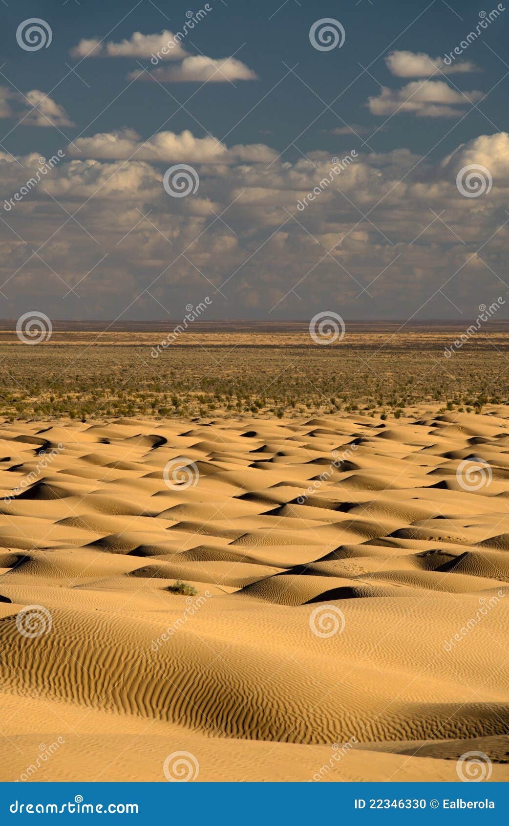 Endless desert... stock photo. Image of fineness, labyrinth - 22346330