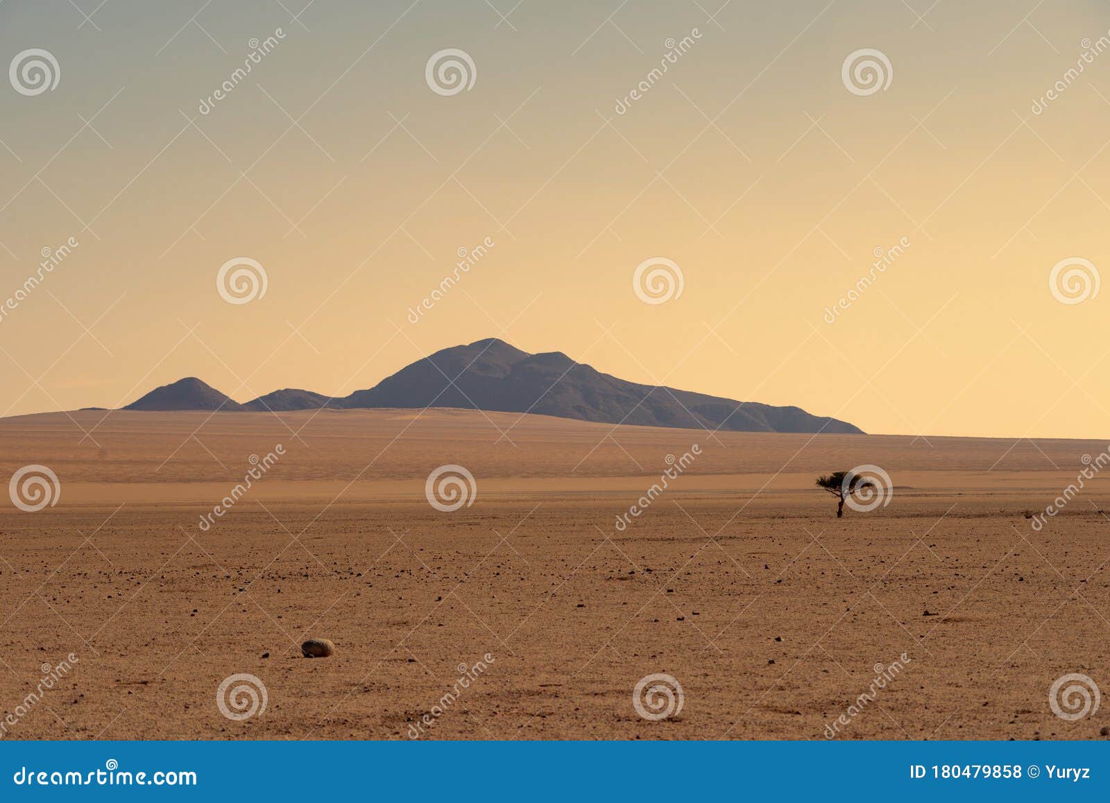 Endless desert landscape stock photo. Image of horizon - 180479858