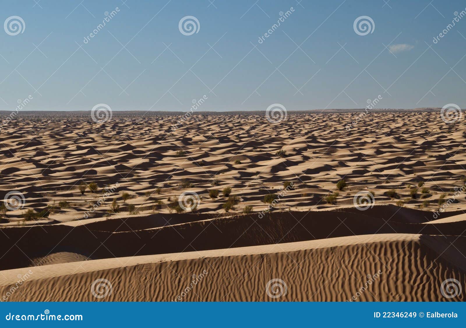 Endless desert...Sahara stock image. Image of blank, adventure - 22346249