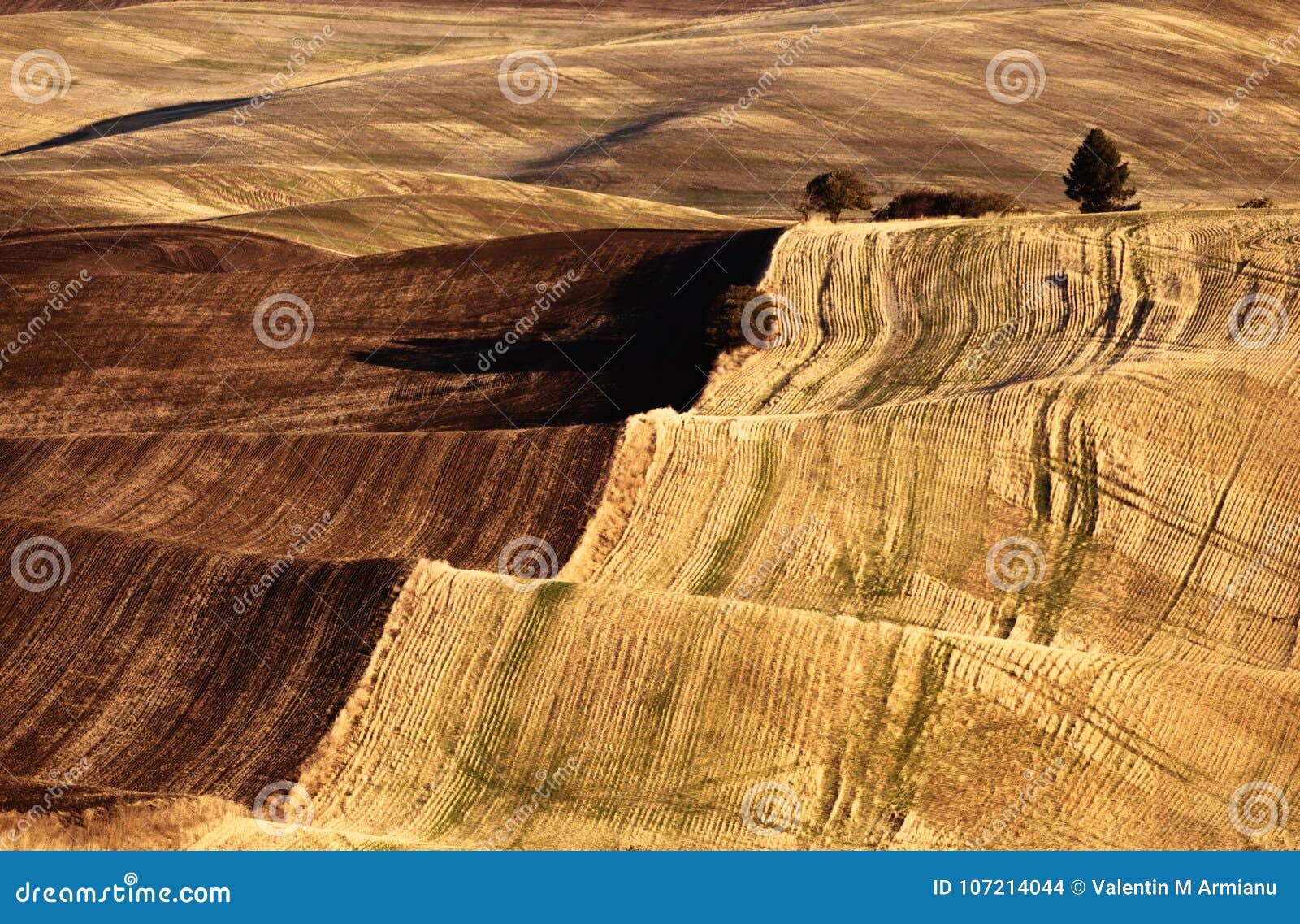 Endless Hill Fields stock photo. Image of washington - 107214044