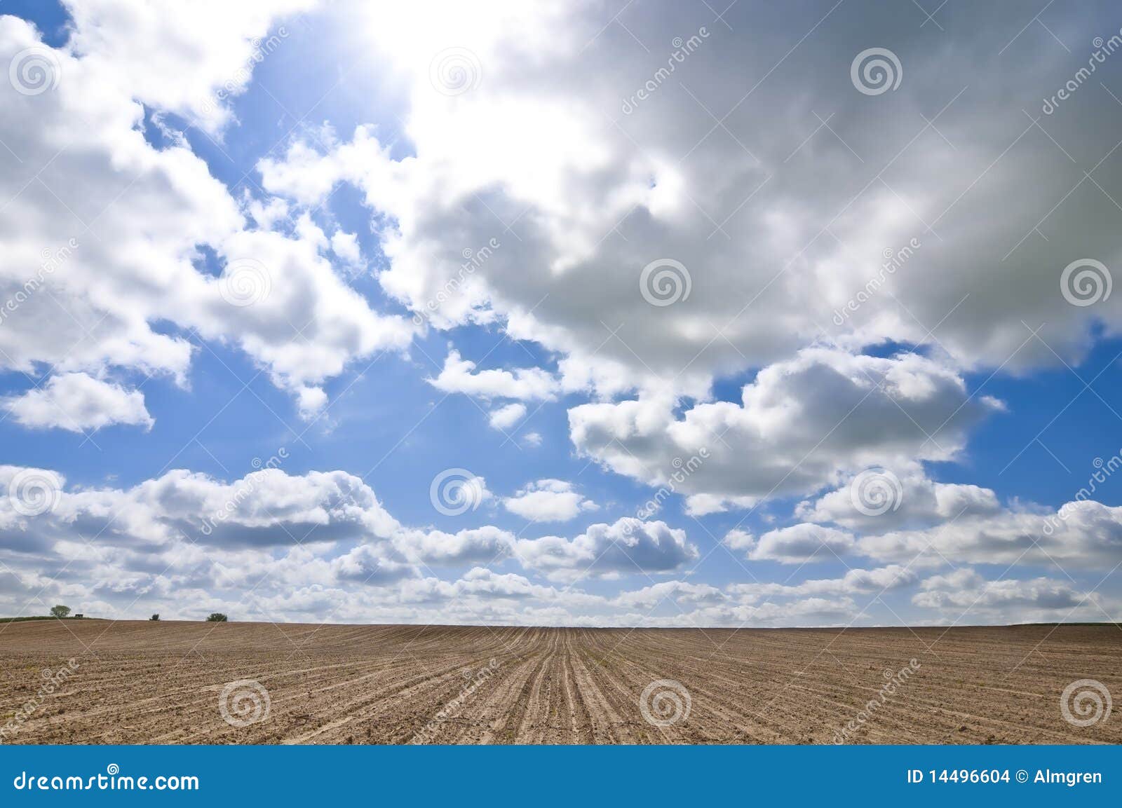 Endless fields stock photo. Image of countryside, crop - 14496604