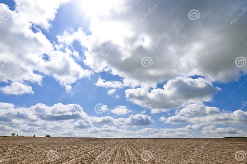 Endless fields stock photo. Image of countryside, crop - 14496604