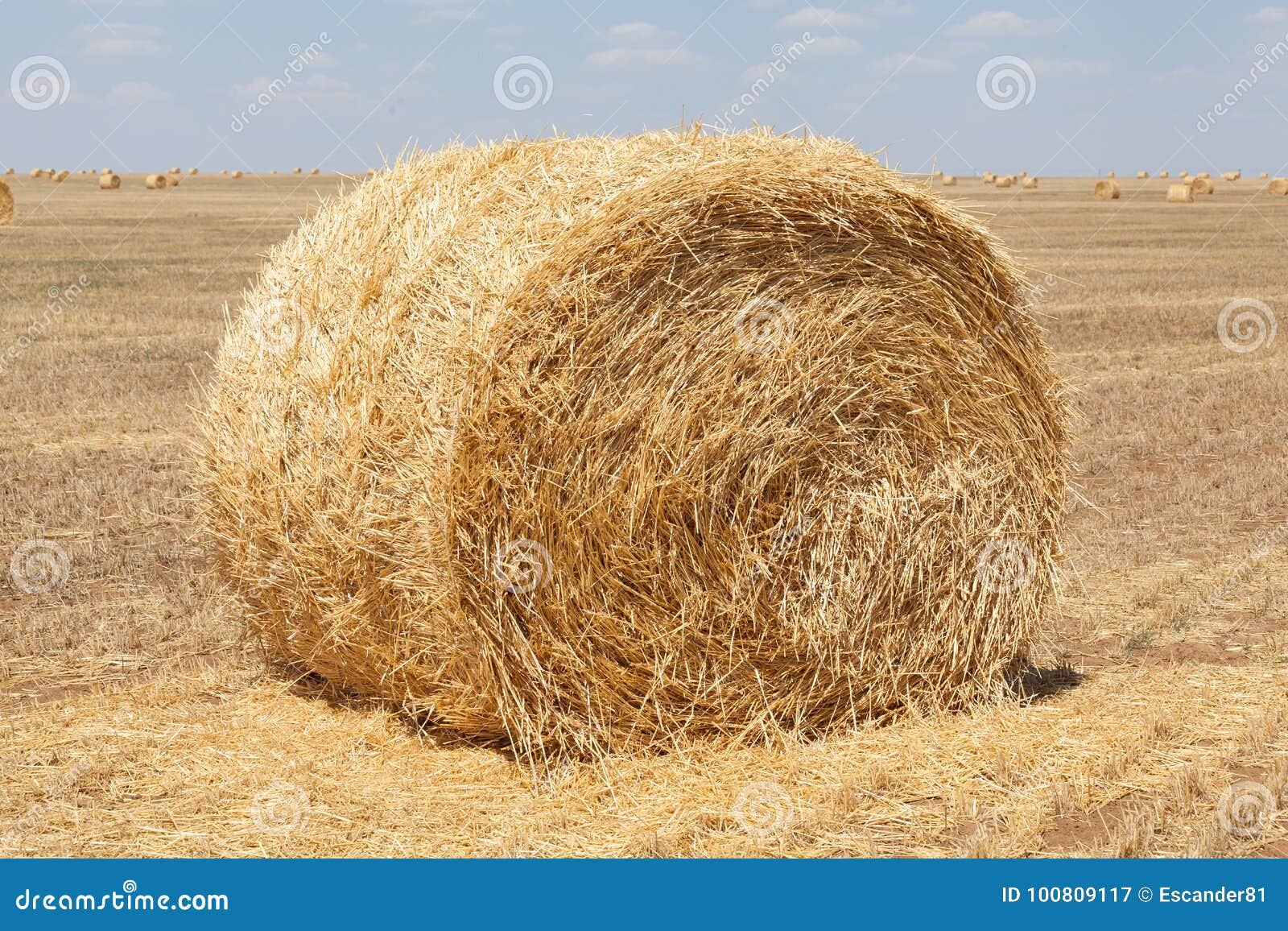 Endless Fields of Hay Bails Stock Image - Image of outdoor, nature ...