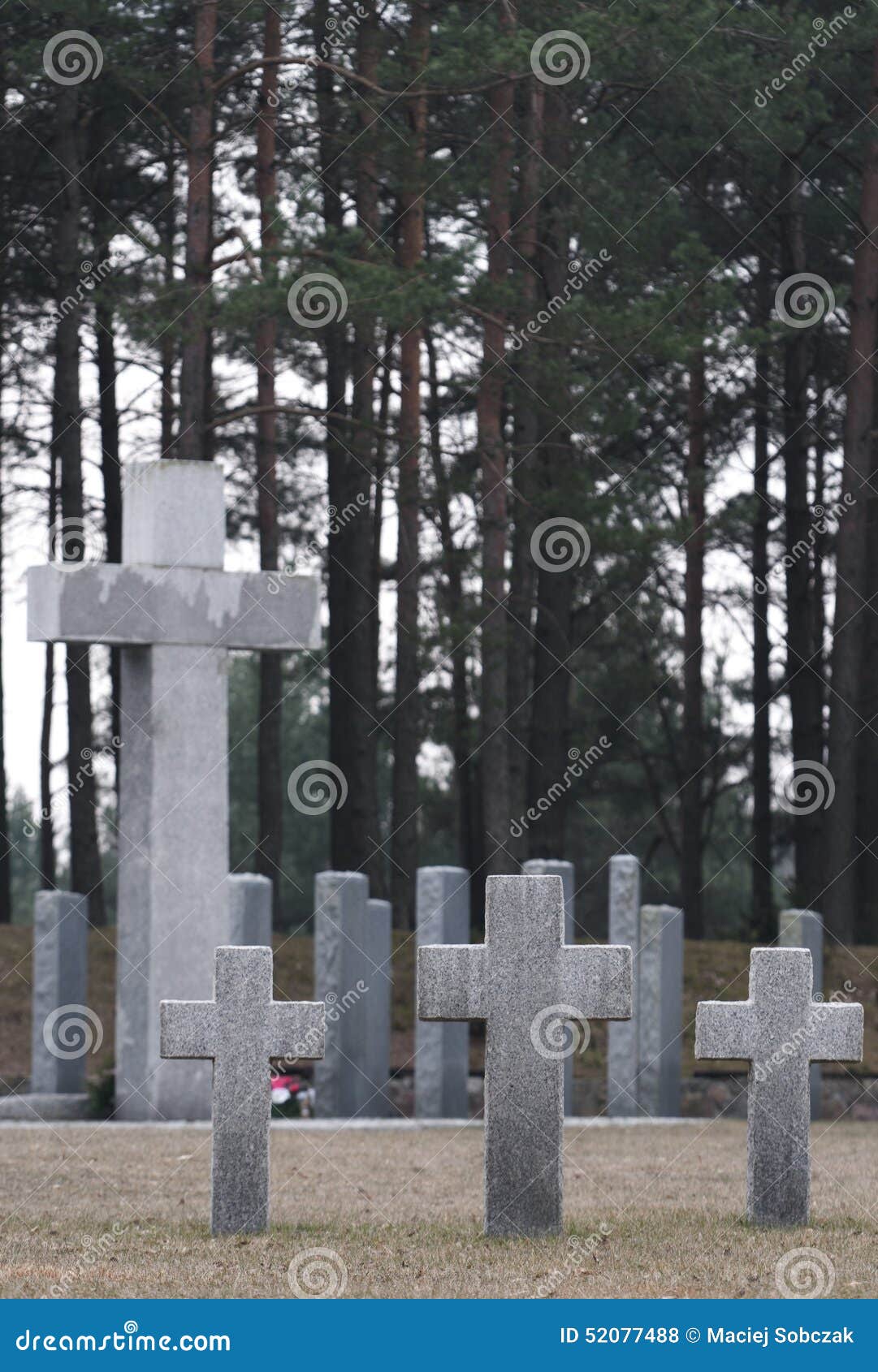 Endless Graveyard in Poland Stock Photo - Image of symbol, horizontal ...