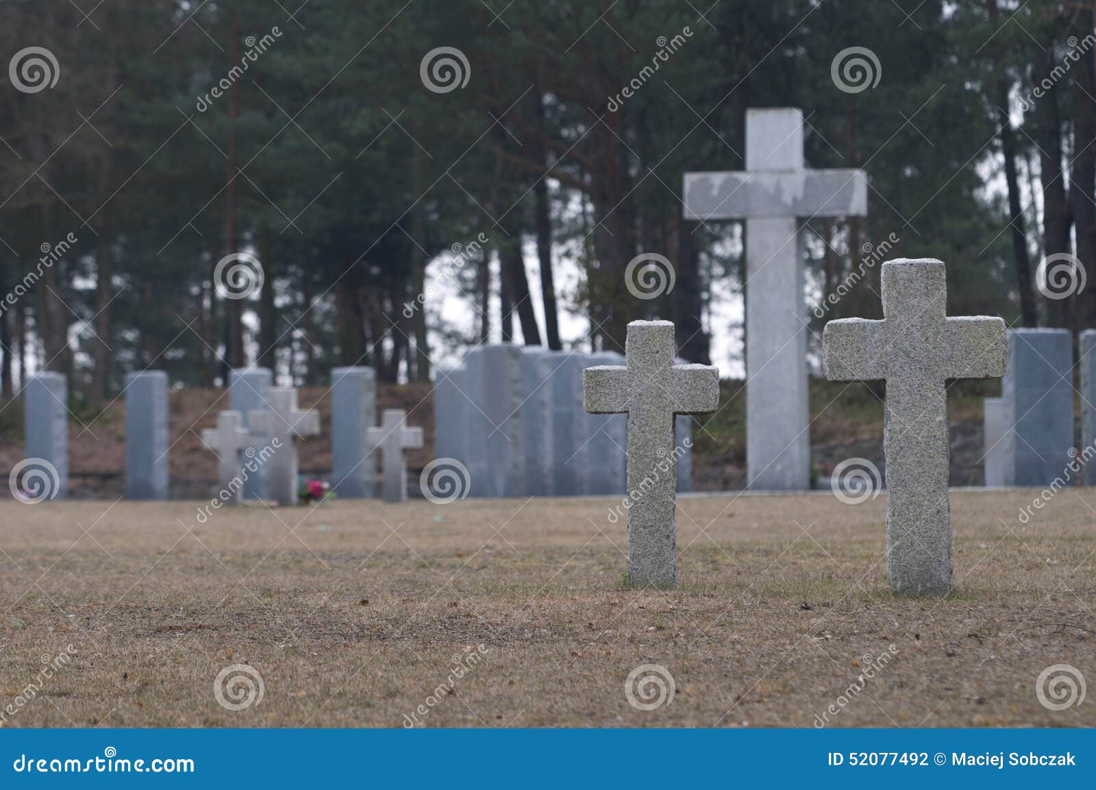 Endless Graveyard in Poland Stock Photo - Image of high, military: 52077492