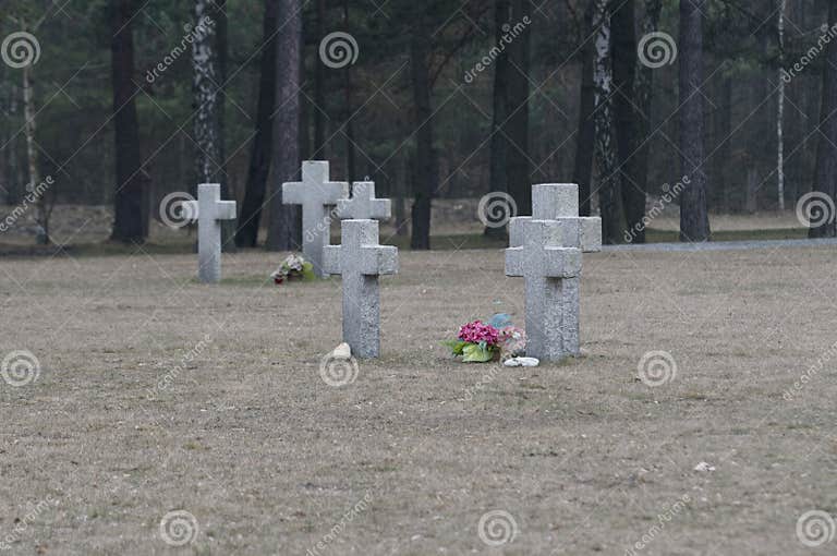 Endless Graveyard in Poland Stock Image - Image of tombstone, poland ...