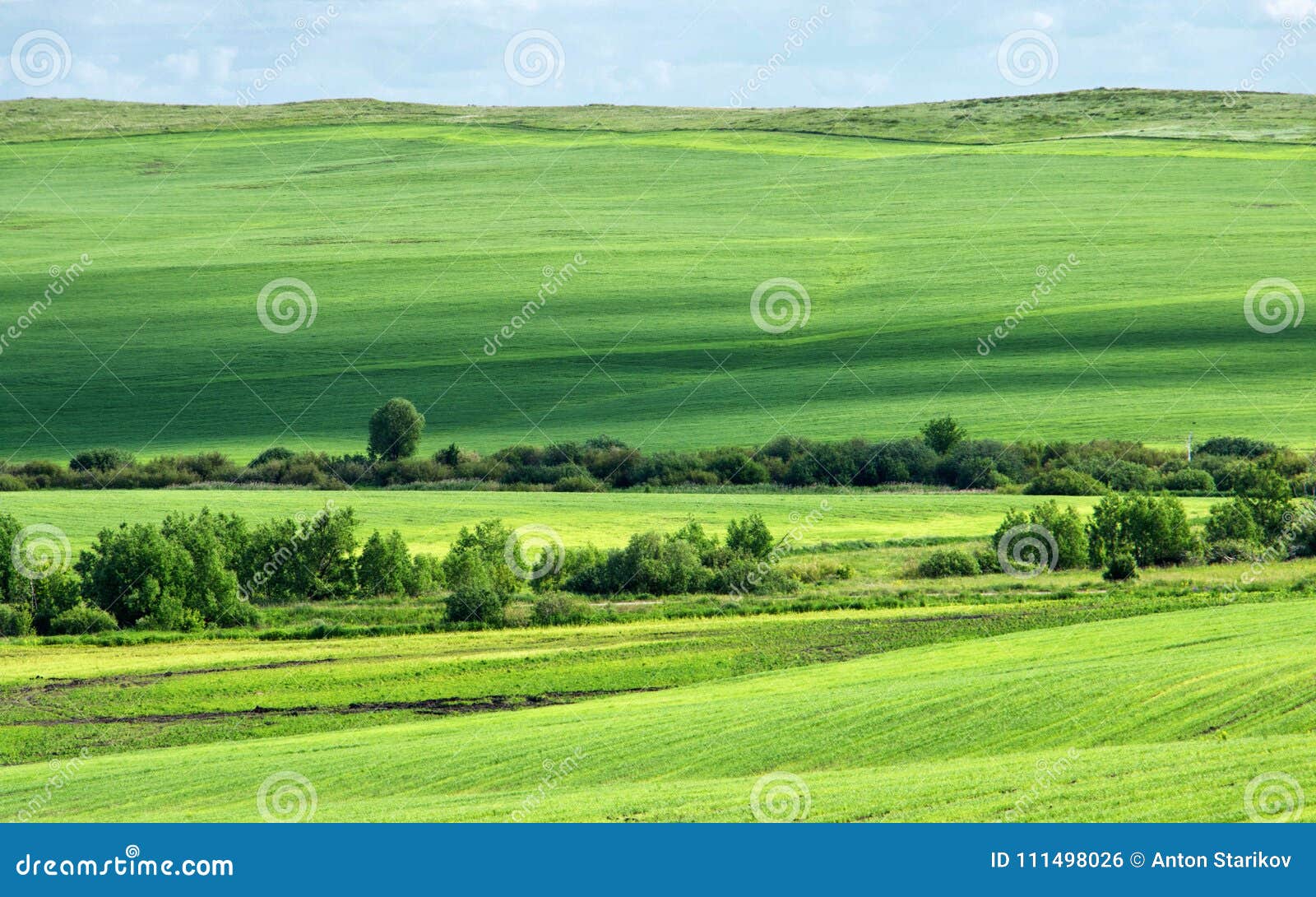 Endless Green Meadows and Fields Stock Photo - Image of trees ...