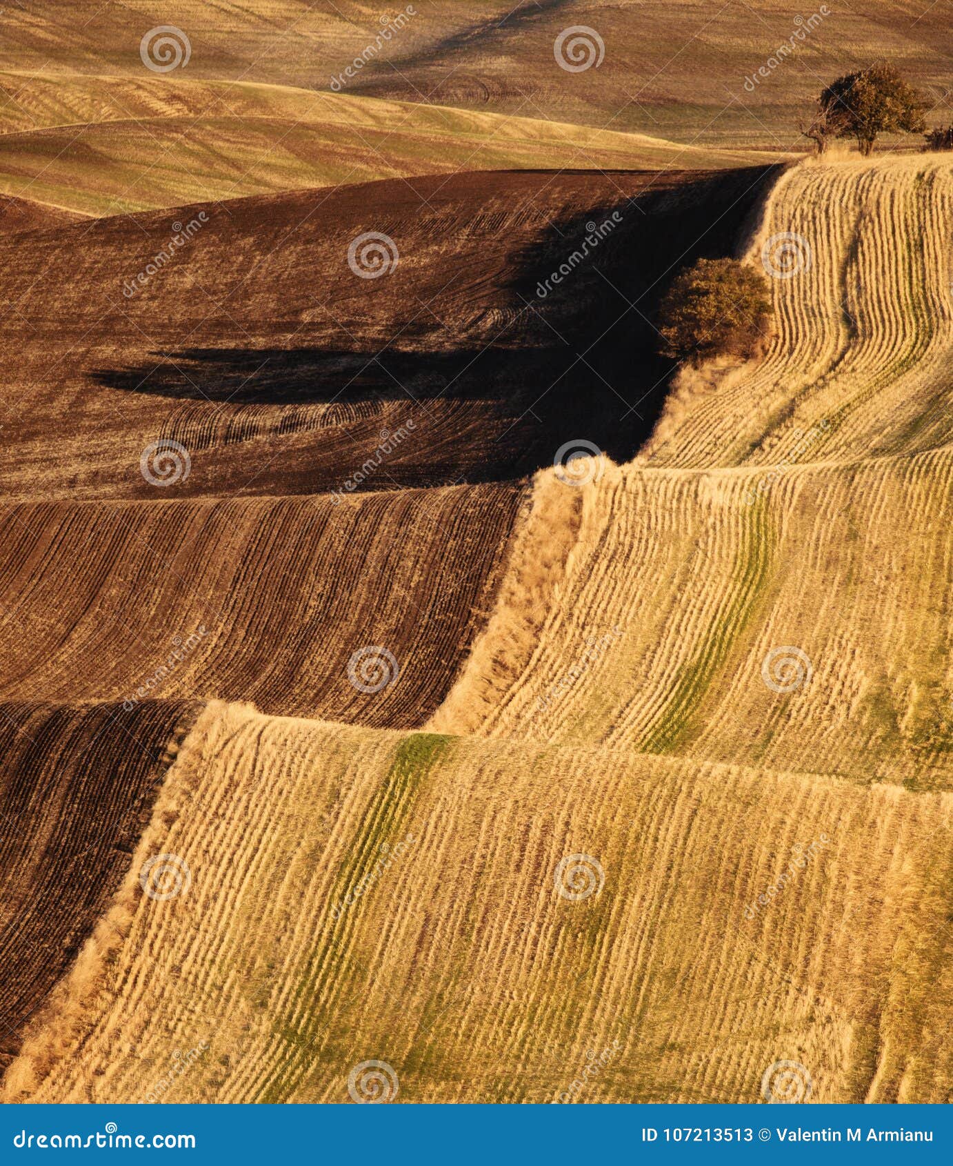 Endless Hill Fields stock image. Image of spring, curve - 107213513
