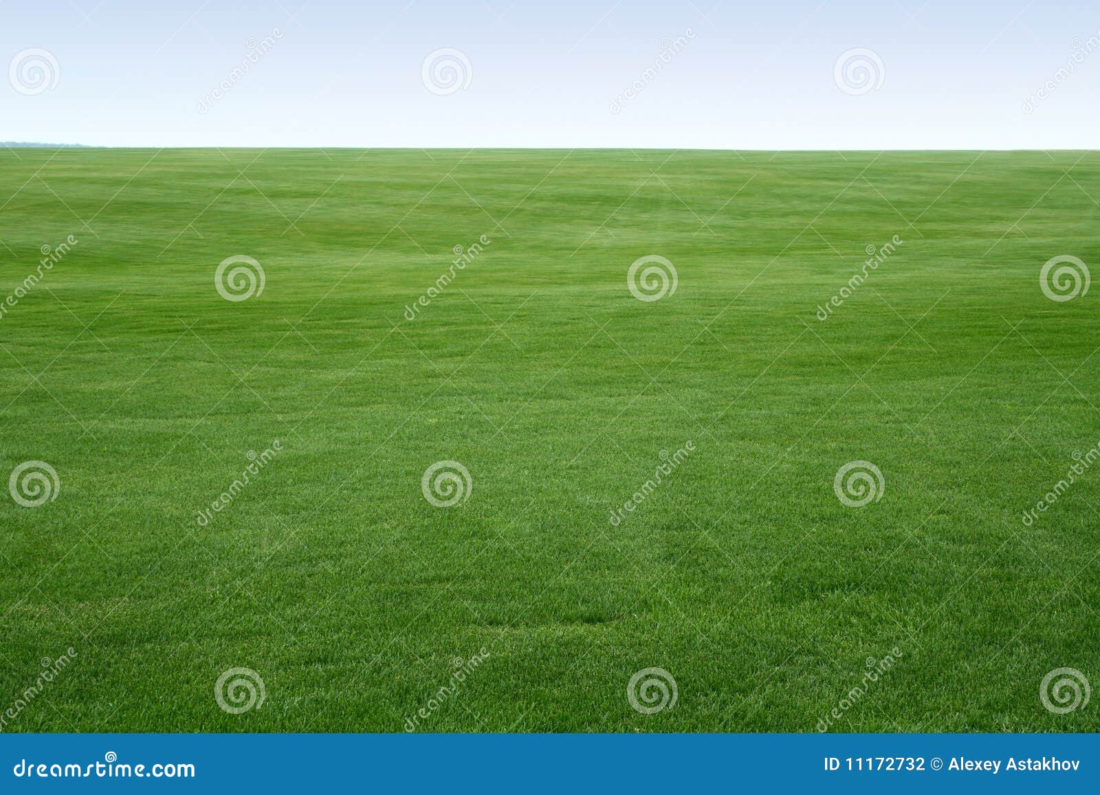 Endless lawn stock photo. Image of background, field - 11172732