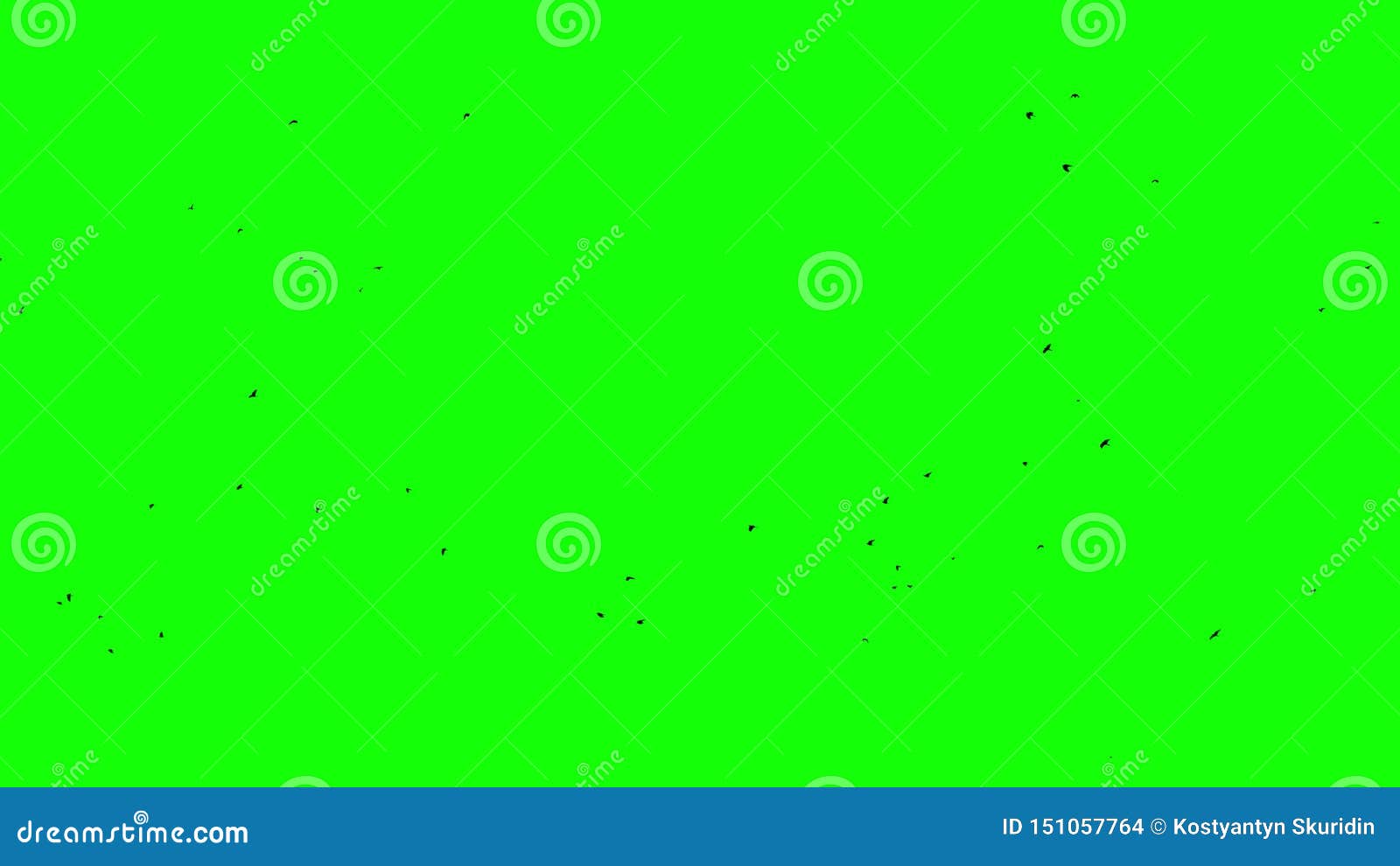 Endless Looping Flight of Black Raven Flocks in the Sky Seamless Loop ...