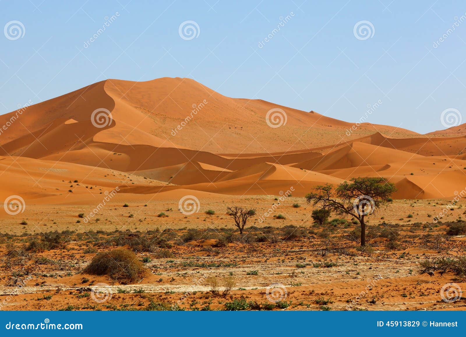 Endless Namib dunes stock image. Image of outdoor, daytime - 45913829