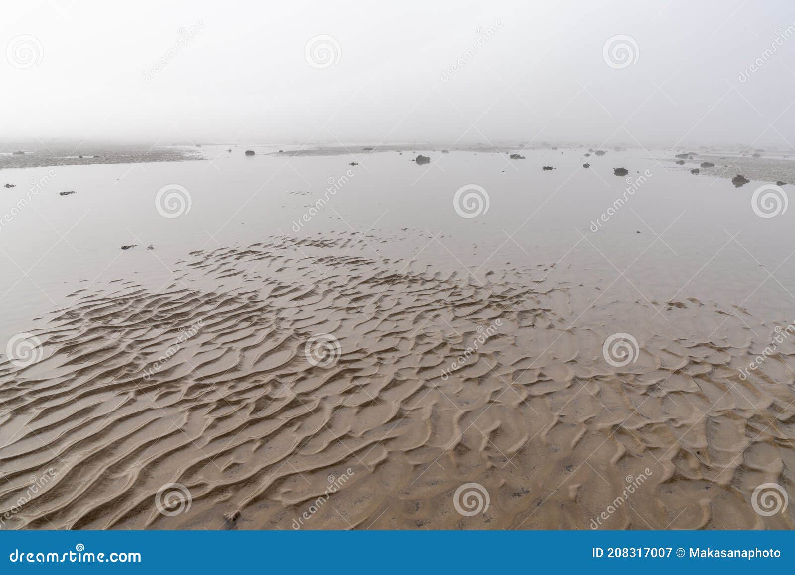 Endless Ocean Floor Uncovered at Low Tide with Sand Structures and ...