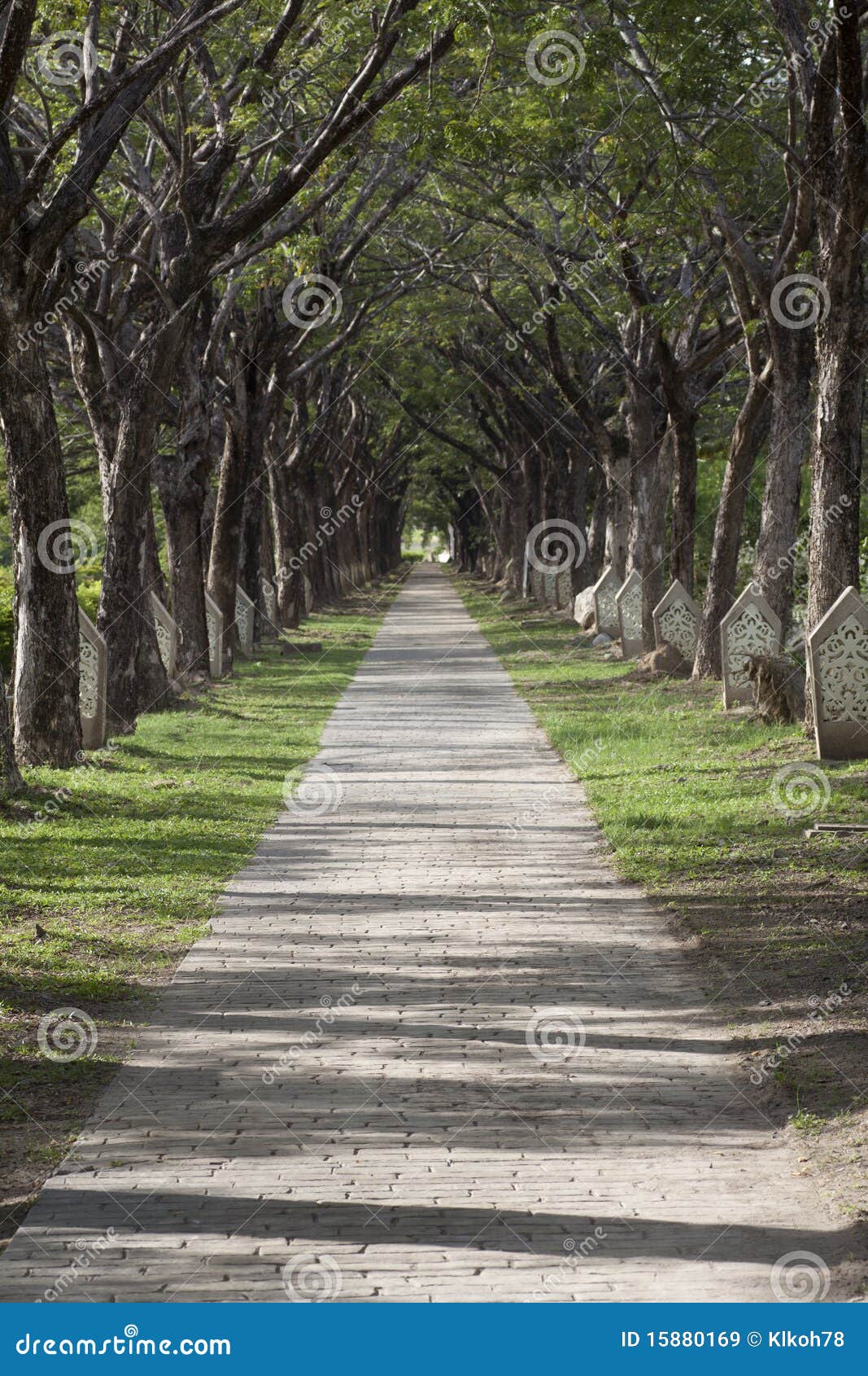 Endless Path stock image. Image of long, endless, branches - 15880169
