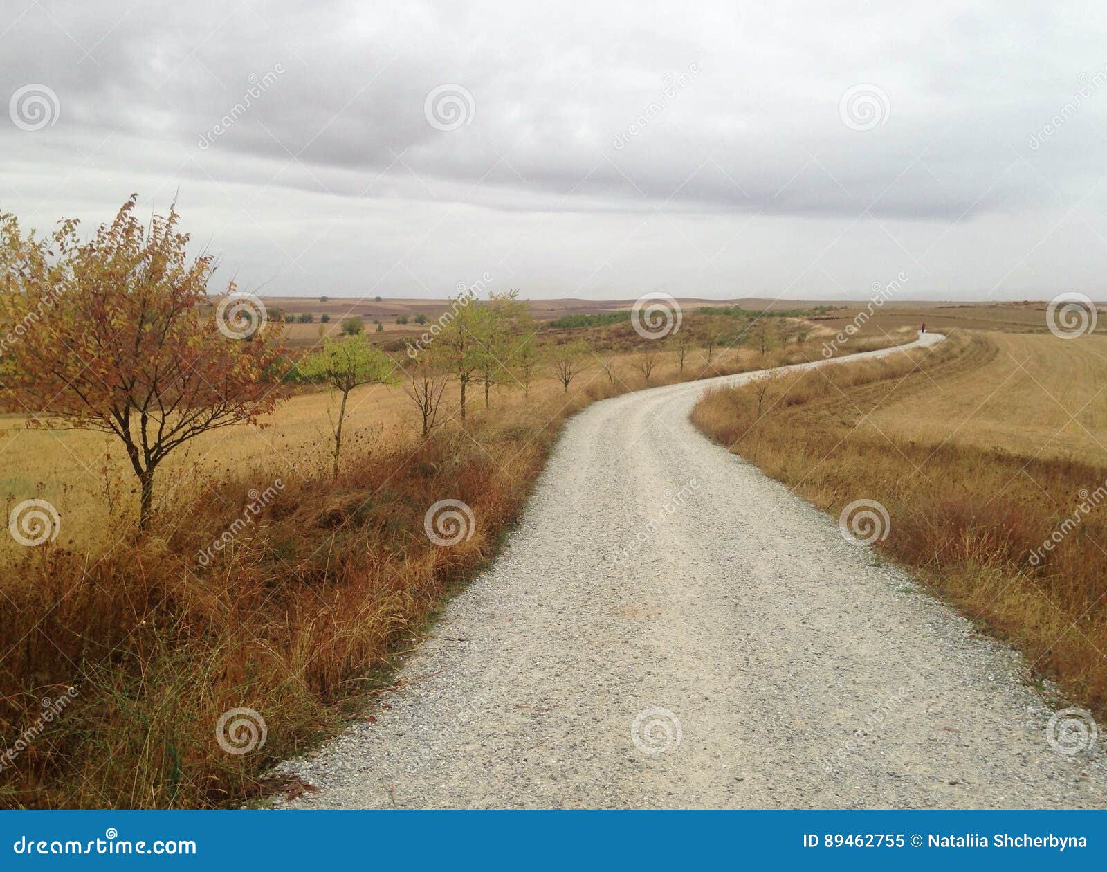 Endless path stock image. Image of tourism, spain, camino - 89462755