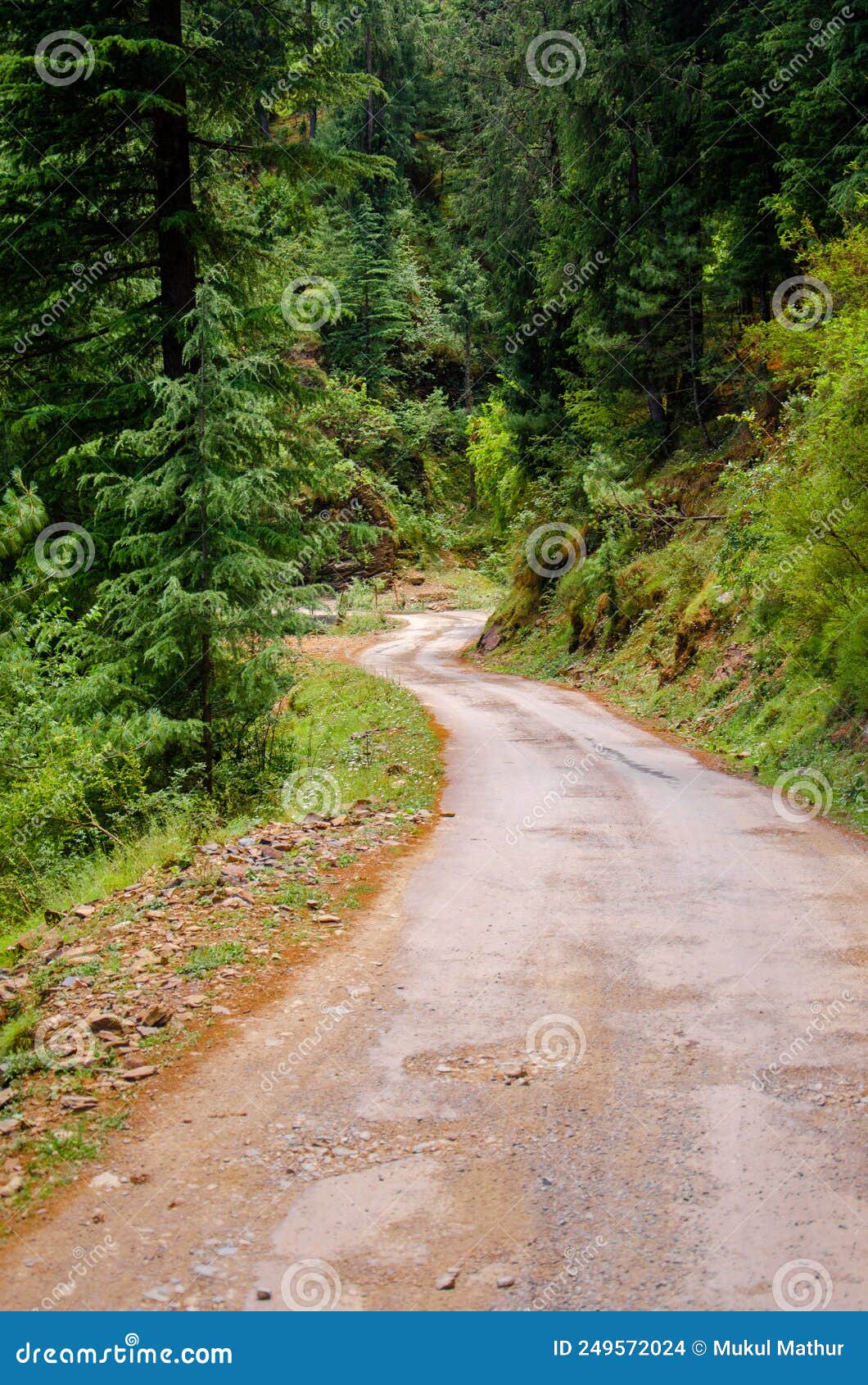 Endless Path for Your Endless Adventure Stock Photo - Image of scenic ...