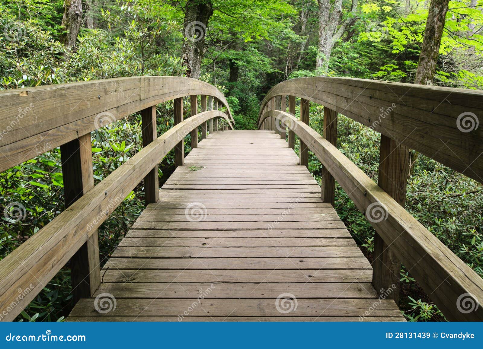 Tanawha Trail Bridge Blue Ridge Parkway NC Stock Image - Image of ...