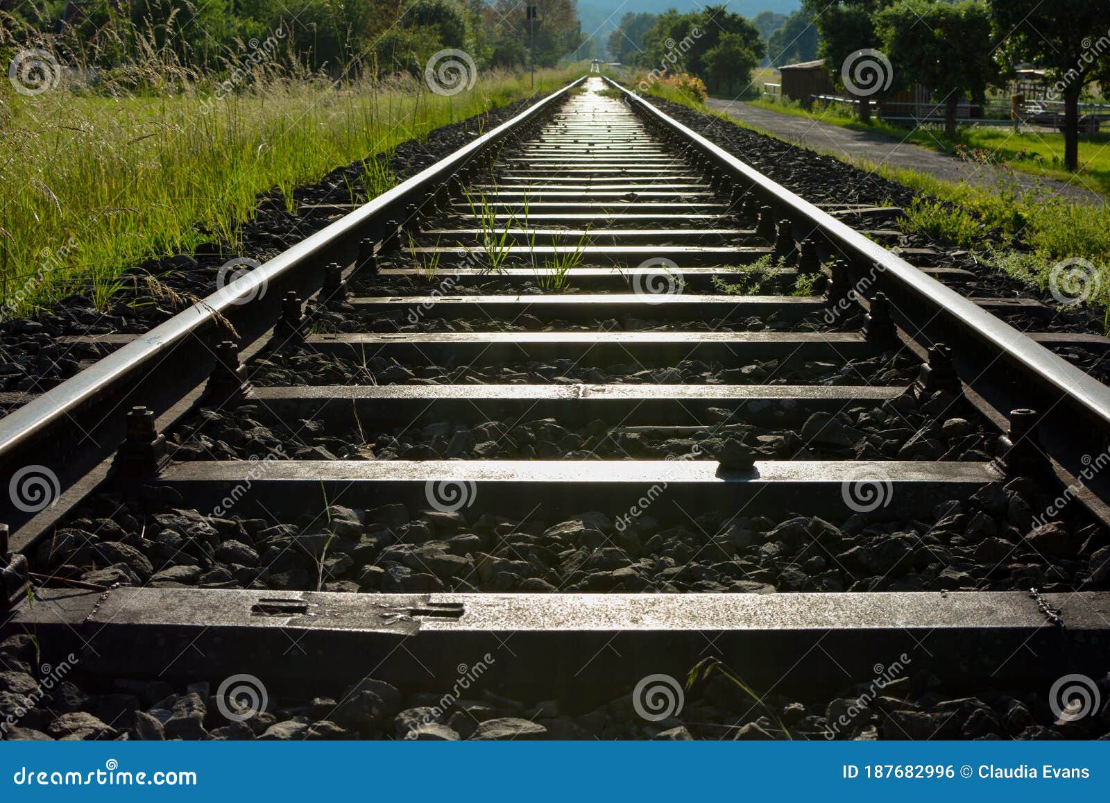 Endless Railway In The Forest Royalty-Free Stock Photography ...