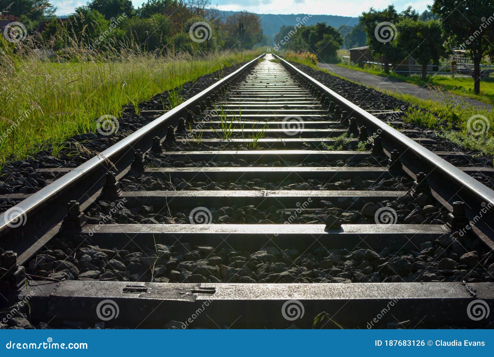 Endless Railway In The Forest Royalty-Free Stock Photography ...