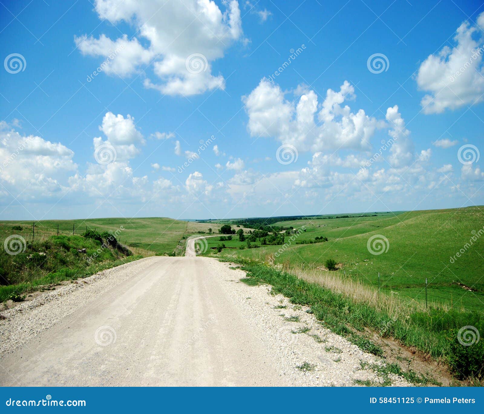Endless Road stock image. Image of plain, grass, beauty - 58451125