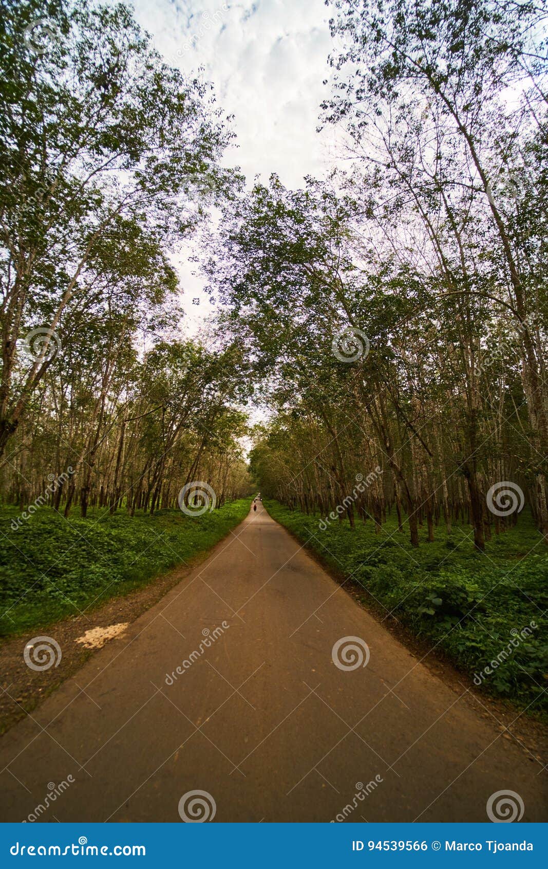 Endless road stock photo. Image of endless, asphalt, isolated - 94539566
