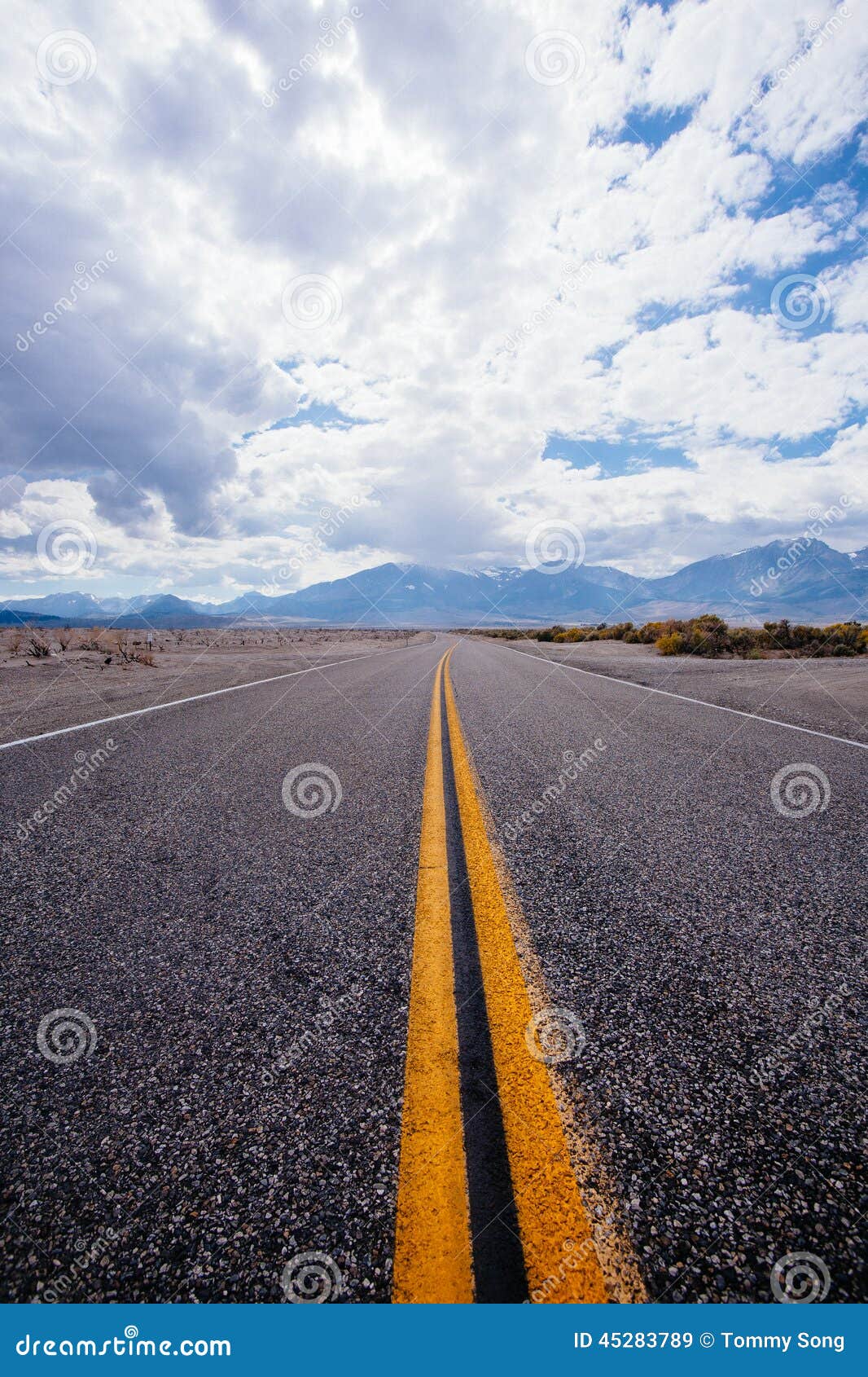 Endless Road Driving Drive Empty Desert Landscape Portrait Format ...