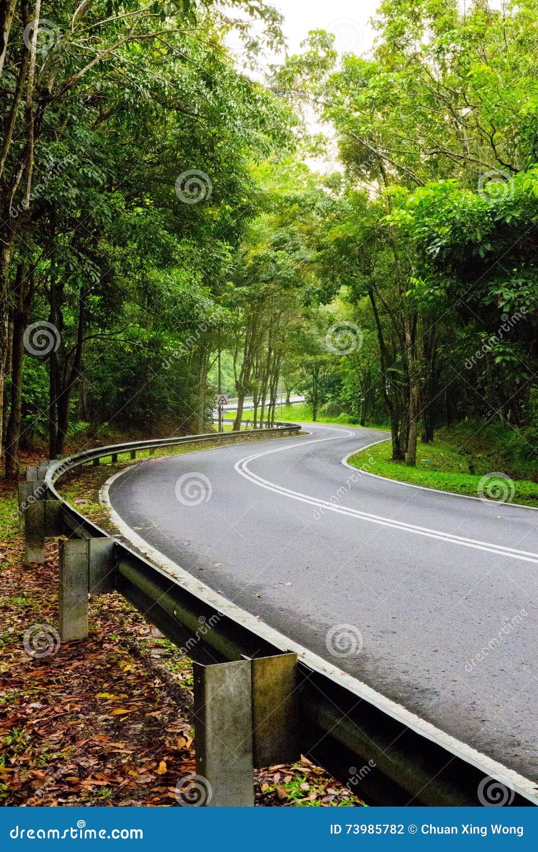 Endless Road stock photo. Image of long, winding, trees - 73985782