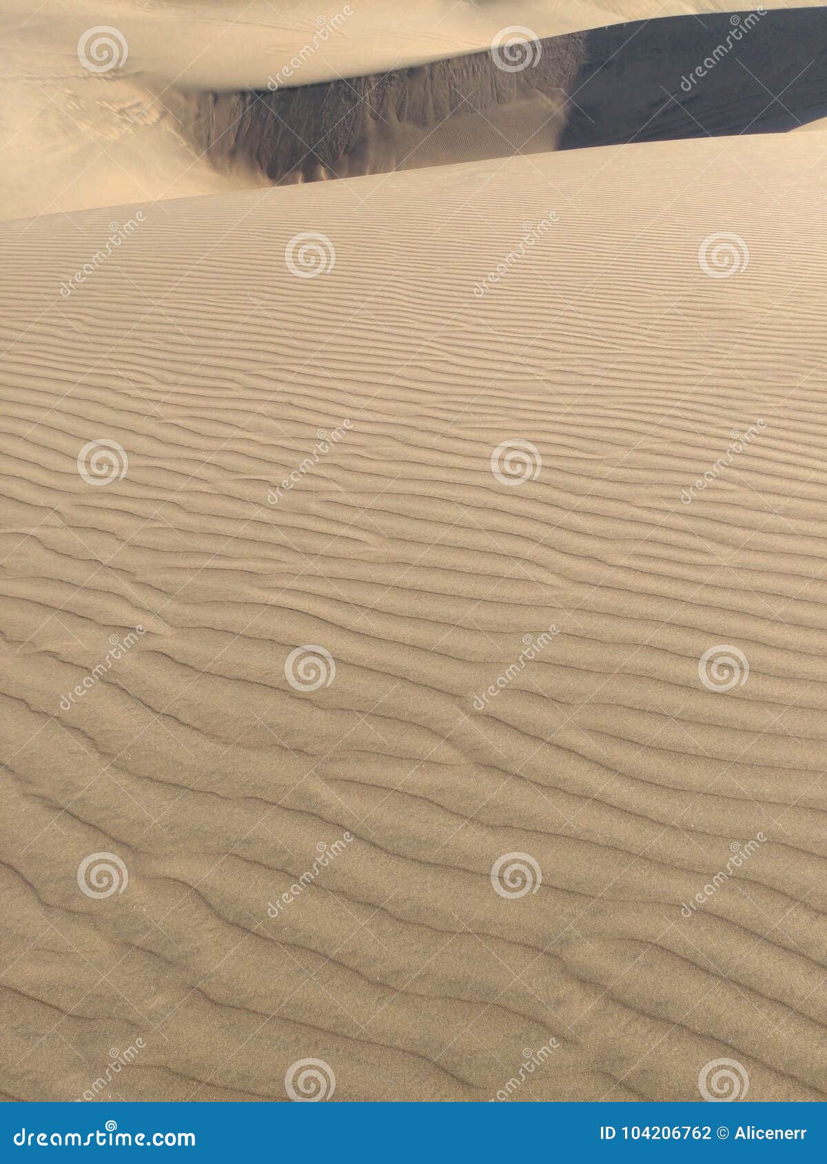 Endless - sand dunes stock photo. Image of dunes, pattern - 104206762