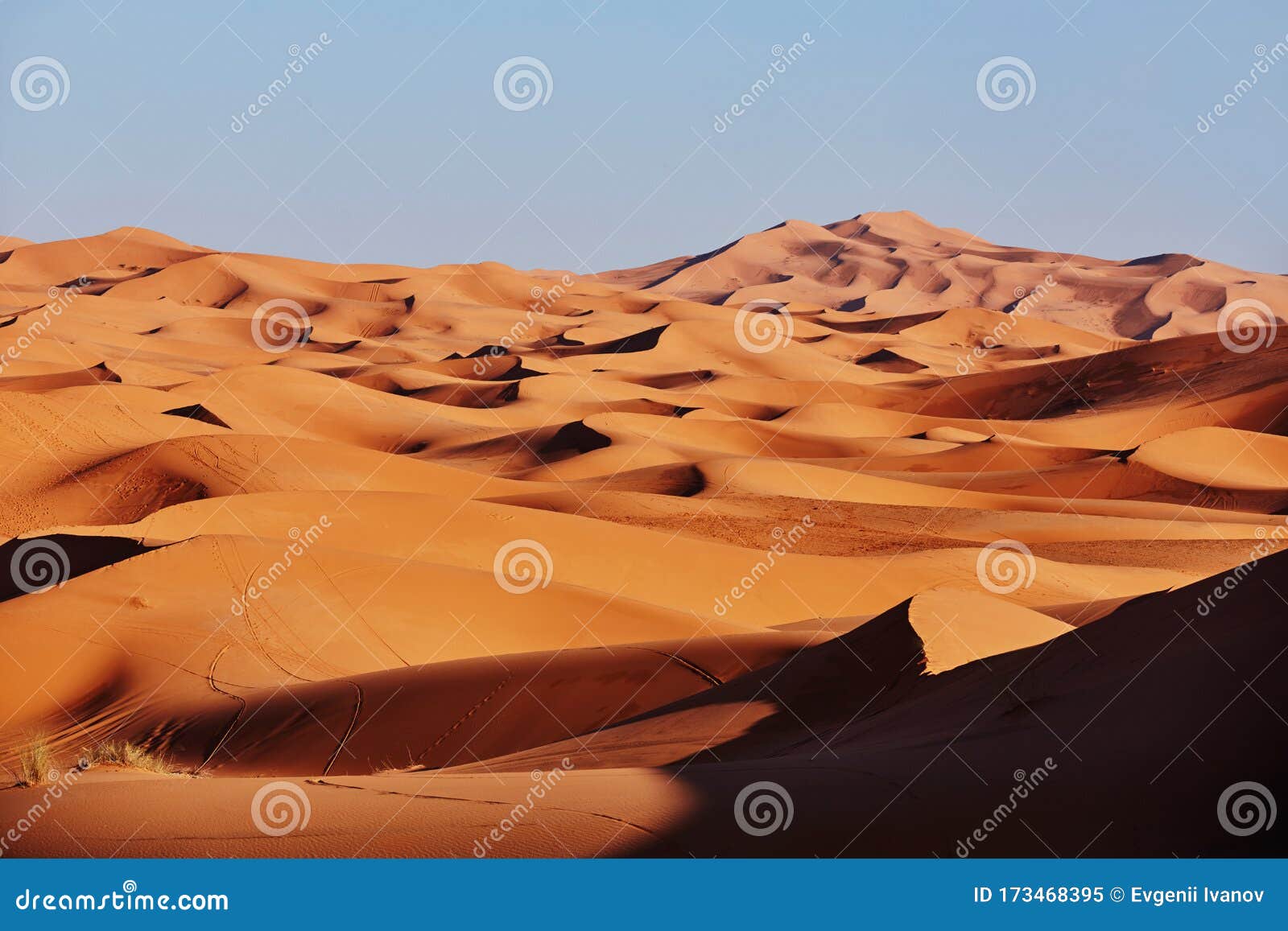 Endless Sands Of The Sahara Desert The Hot Scorching Sun Shines On The
