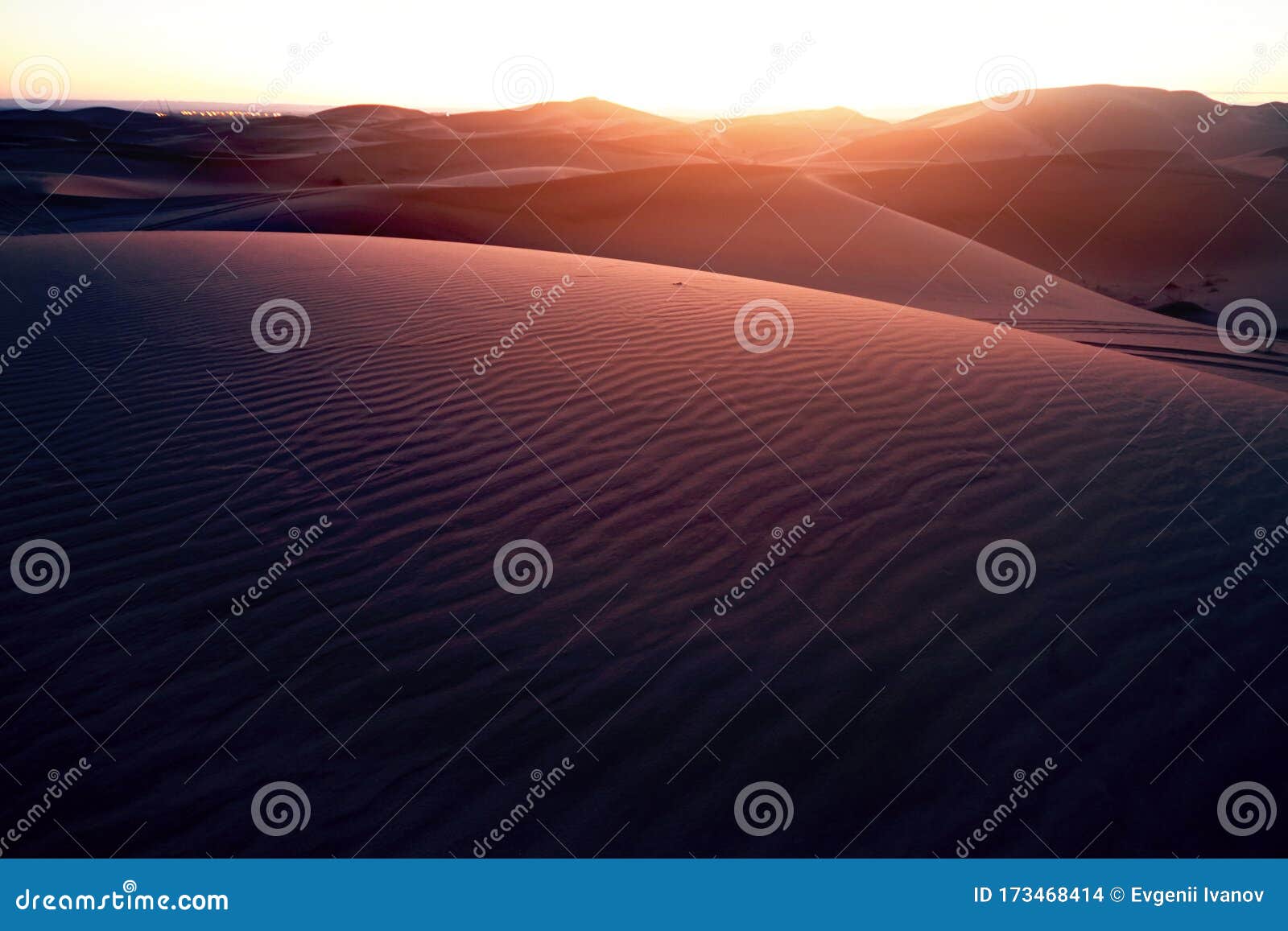 Endless Sands Of The Sahara Desert The Hot Scorching Sun Shines On The