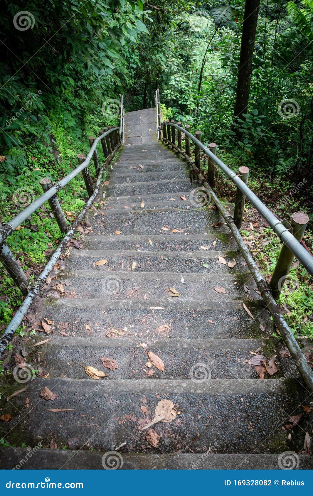 Endless stairs stock photo. Image of indonesia, nature - 169328082