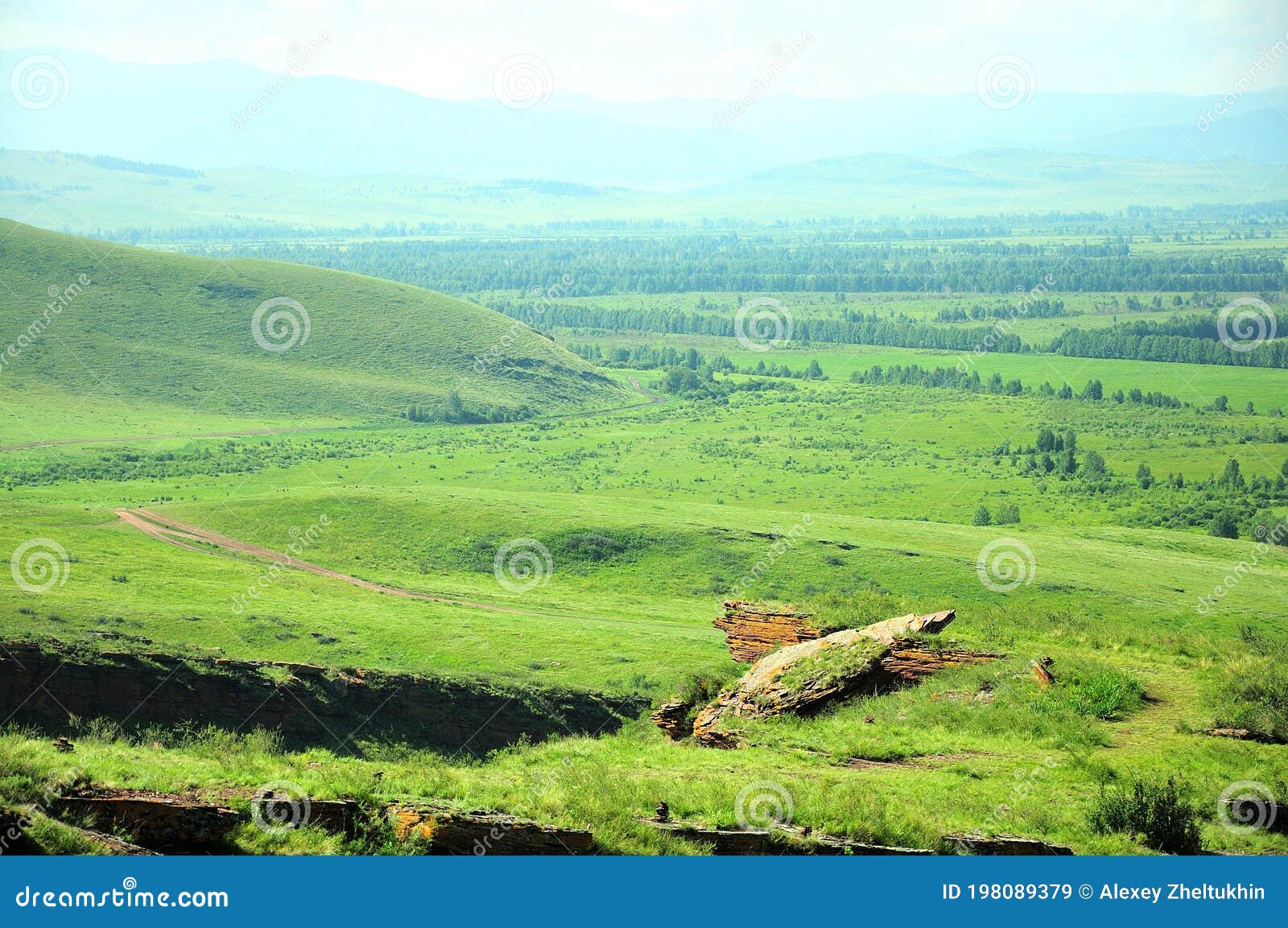 Endless Steppes with Sparse Rows of Bushes and Green Grass Stock Image ...
