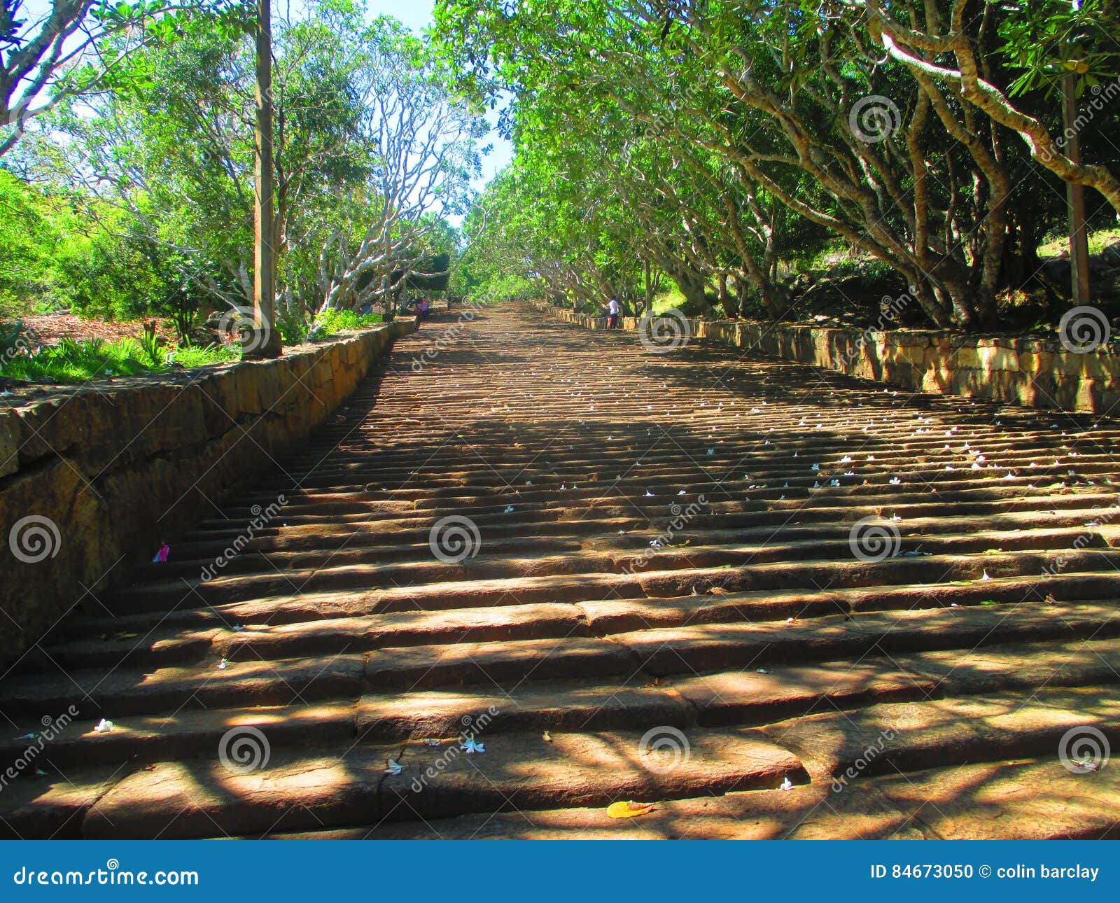 Endless steps stock photo. Image of summer, nature, endless - 84673050