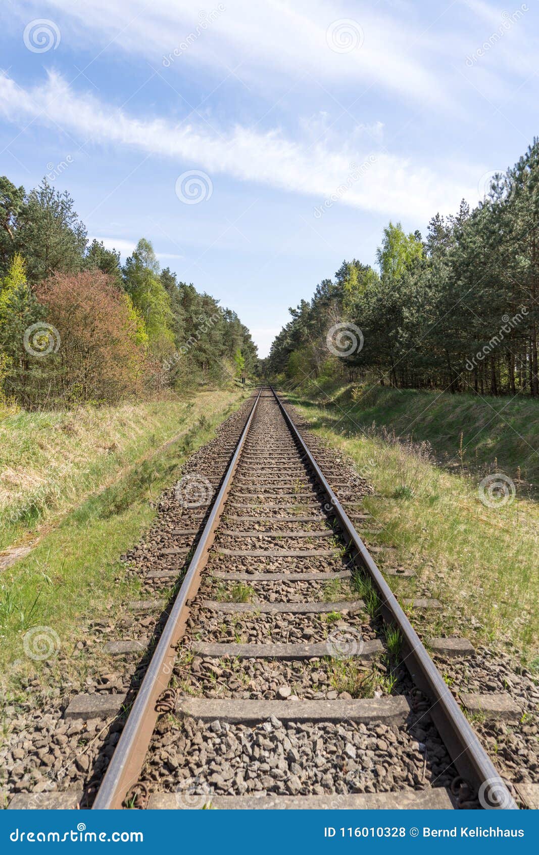 Almost Endless Straight Rail Track Stock Photo - Image of plant, steel ...