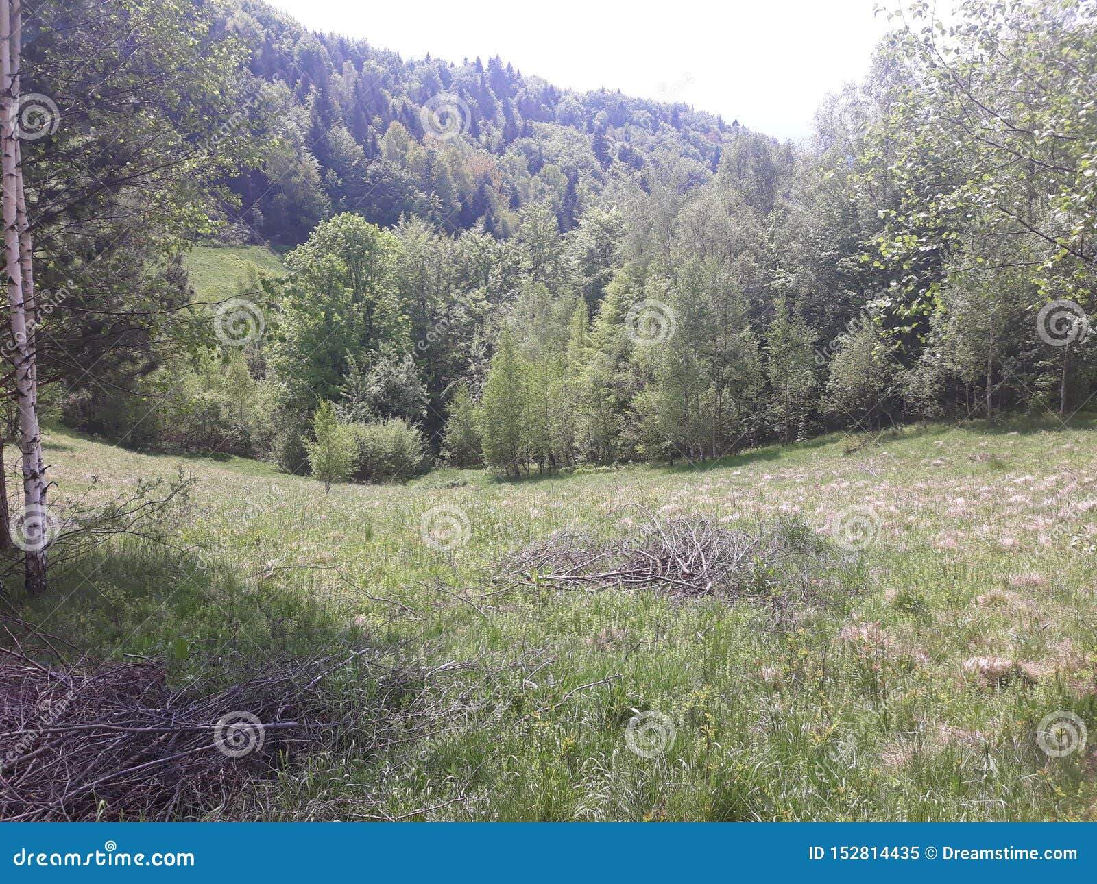 Endless summer stock image. Image of endless, relax - 152814435