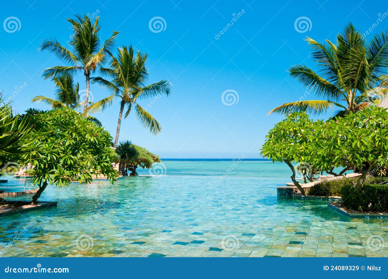 Endless Swimming Pool in Paradise Stock Image - Image of house, tourism ...